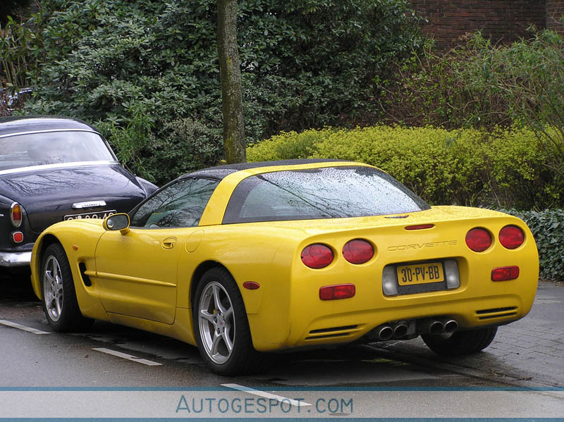 Chevrolet Corvette C5 - 02 April 2008 - Autogespot