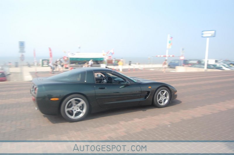 Chevrolet Corvette C5 - 02 May 2009 - Autogespot