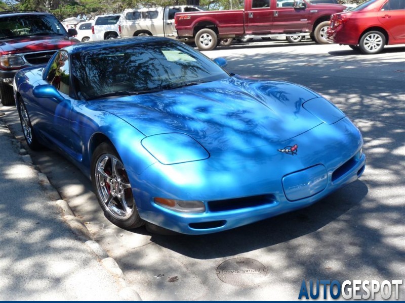 Chevrolet Corvette C5 - 07 August 2010 - Autogespot