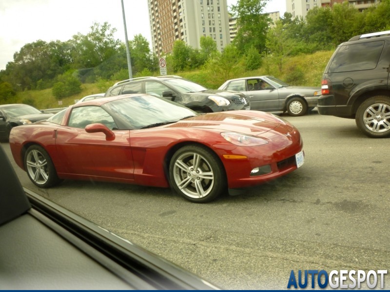 Chevrolet Corvette C6 - 09 August 2010 - Autogespot
