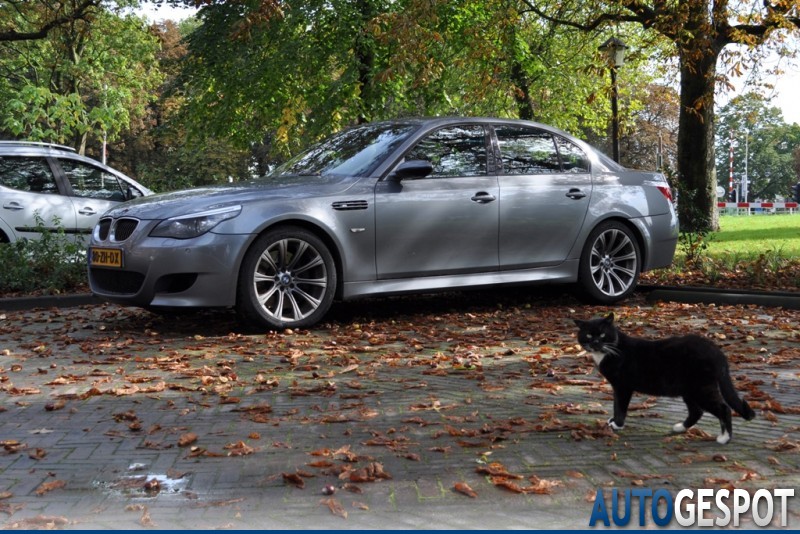 BMW M5 E60 2005 - 24 September 2010 - Autogespot