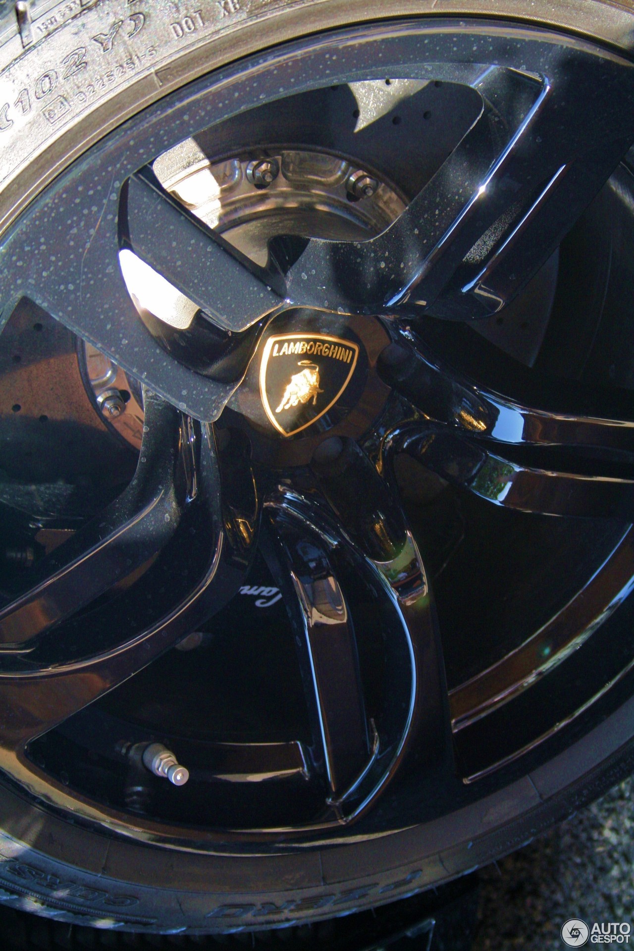 Lamborghini Murciélago LP640 Versace - 30 September 2012 - Autogespot