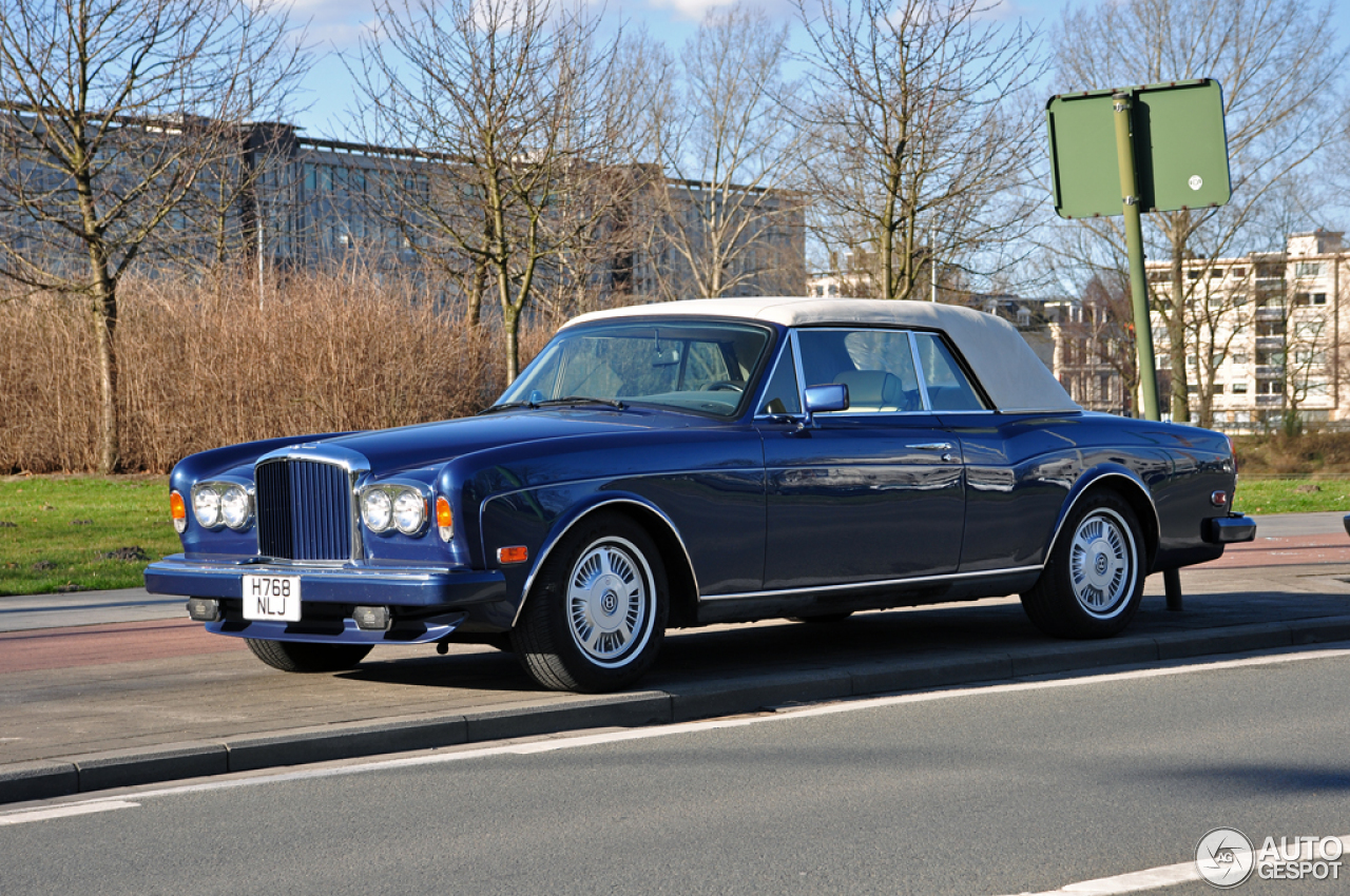Bentley Continental Convertible - 23 August 2013 - Autogespot