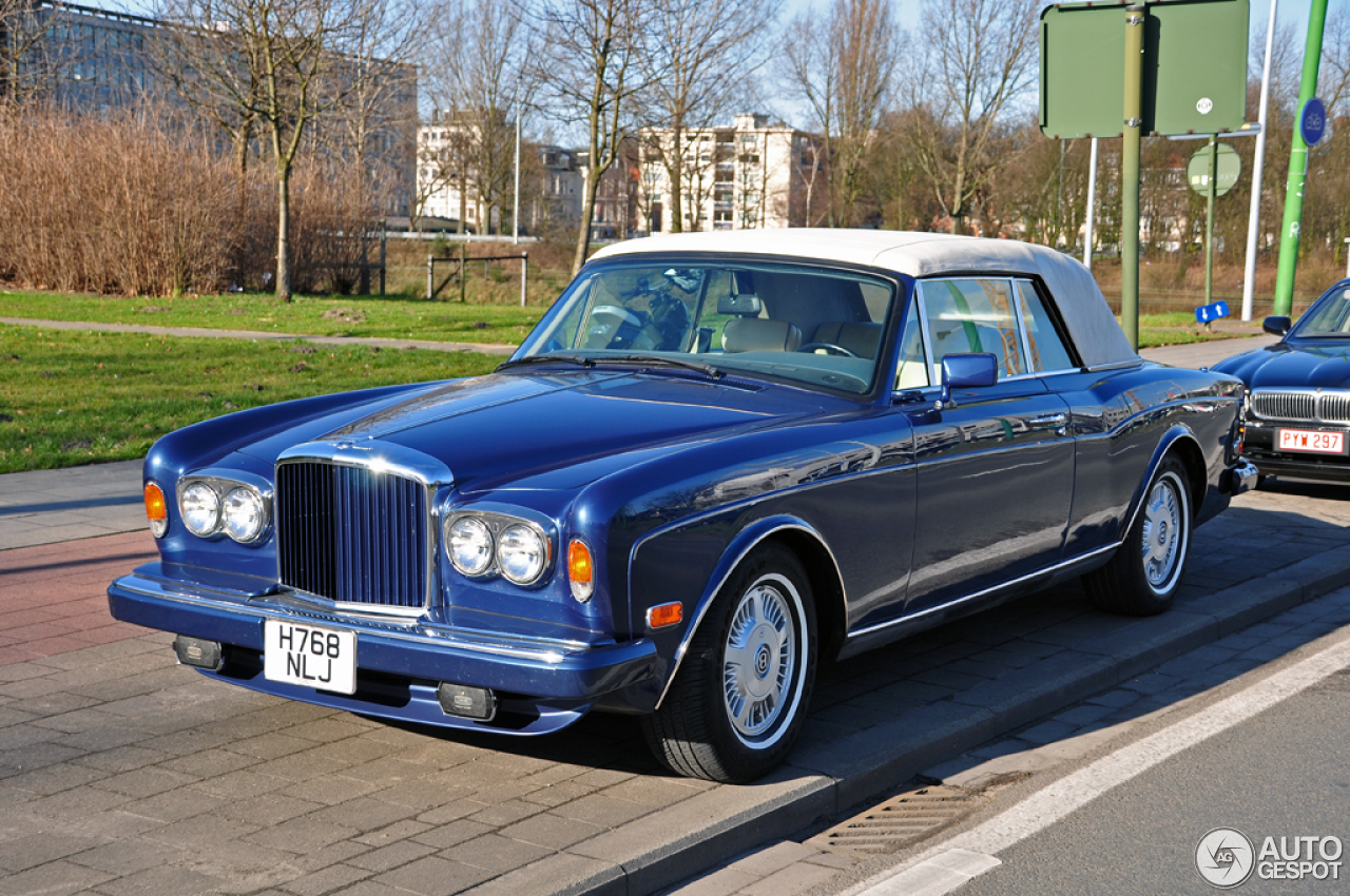 Bentley Continental Convertible - 23 August 2013 - Autogespot