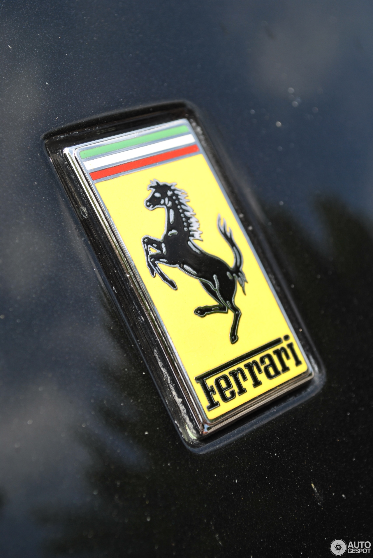 Ferrari 456M GT - 28 June 2014 - Autogespot