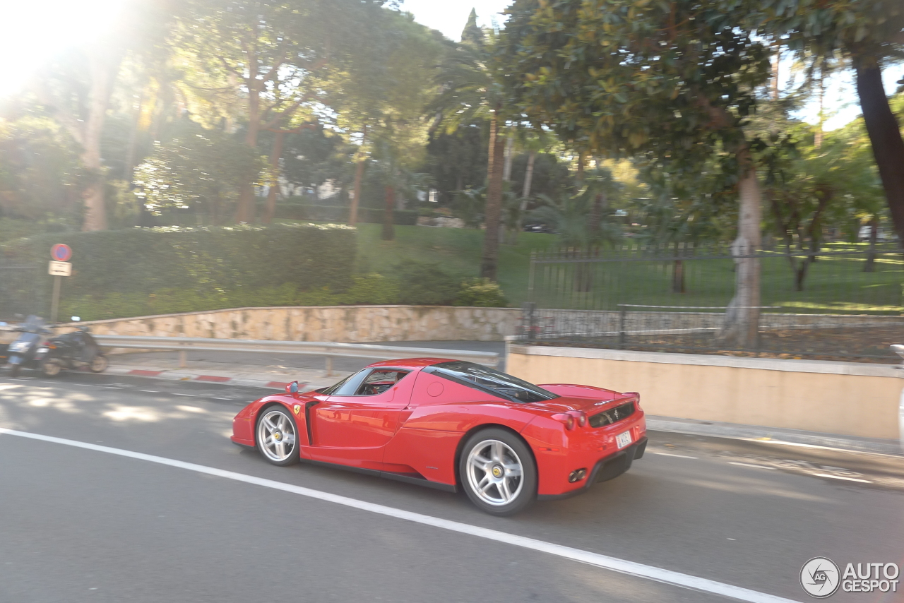 Ferrari Enzo Ferrari - 24 July 2014 - Autogespot