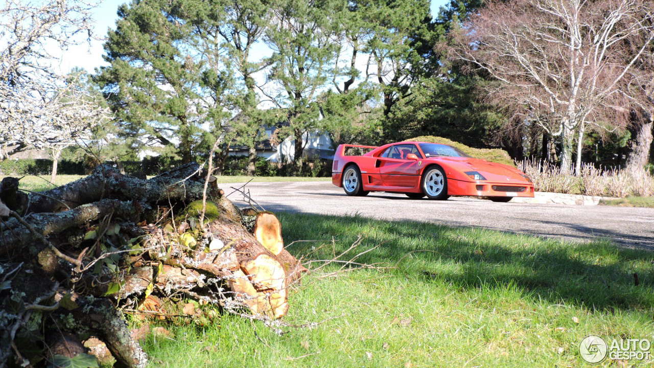 Ferrari F40 - 17 February 2015 - Autogespot