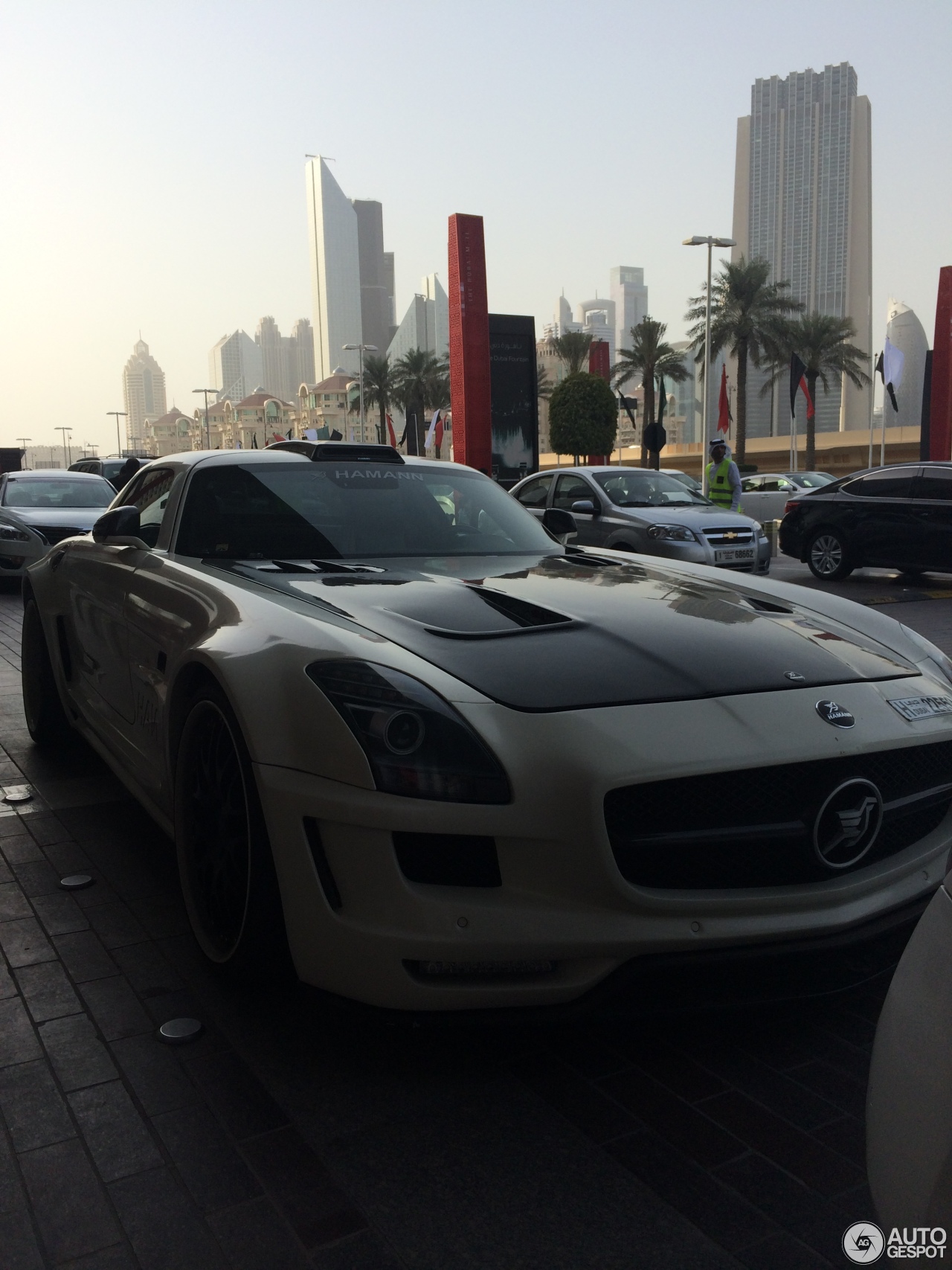 Mercedes-Benz Hamann Hawk SLS AMG - 11 October 2015 - Autogespot