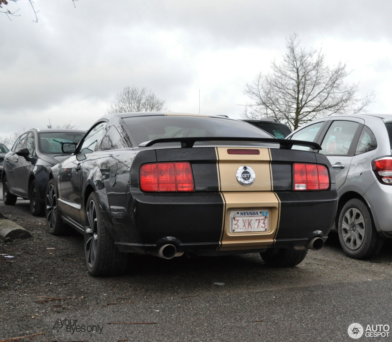 Ford Mustang GT Boss 281 - 07 February 2016 - Autogespot