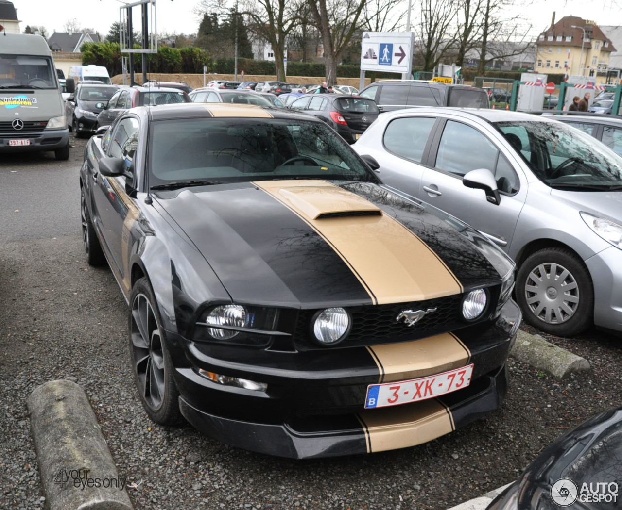 Ford Mustang GT Boss 281 - 07 February 2016 - Autogespot