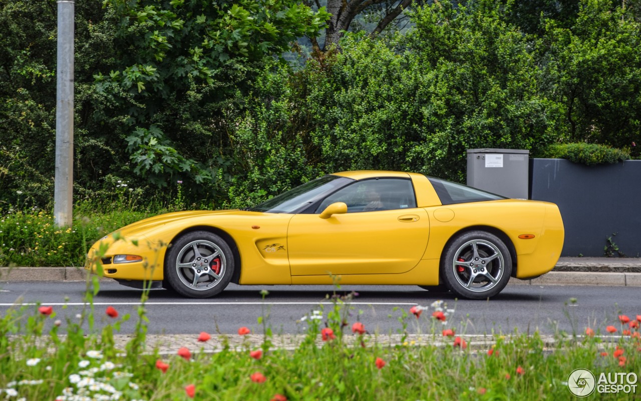 Chevrolet Corvette C5 - 06 July 2016 - Autogespot