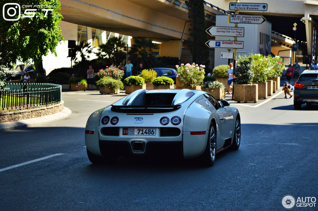 Bugatti Veyron 16.4 Perle de Sang - 22 September 2017 - Autogespot