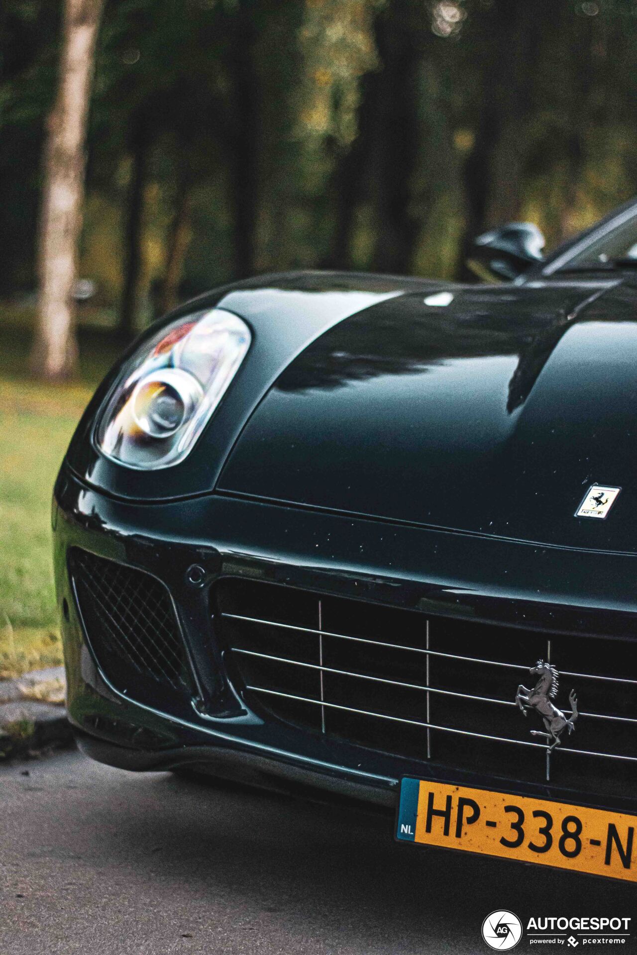 Ferrari 599 GTB Fiorano - 24 August 2019 - Autogespot