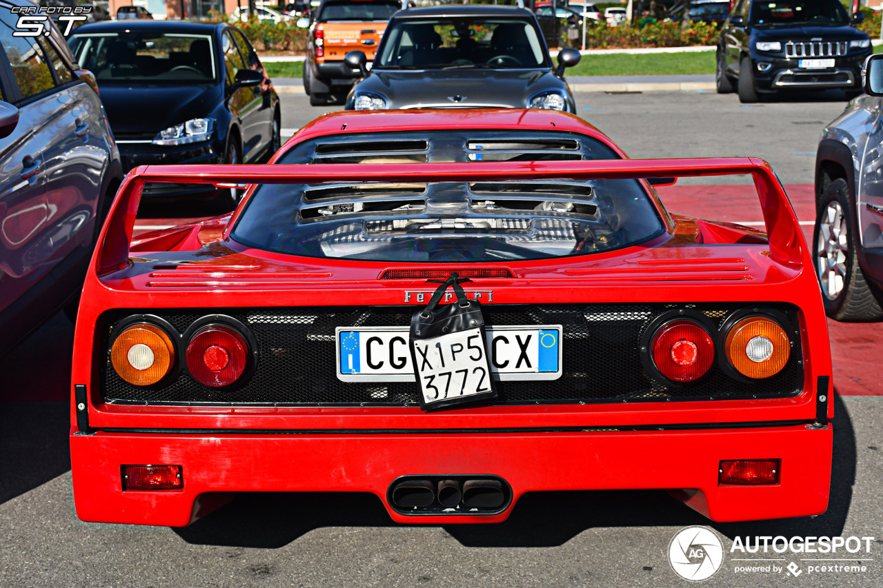 Ferrari F40 - 03 November 2019 - Autogespot