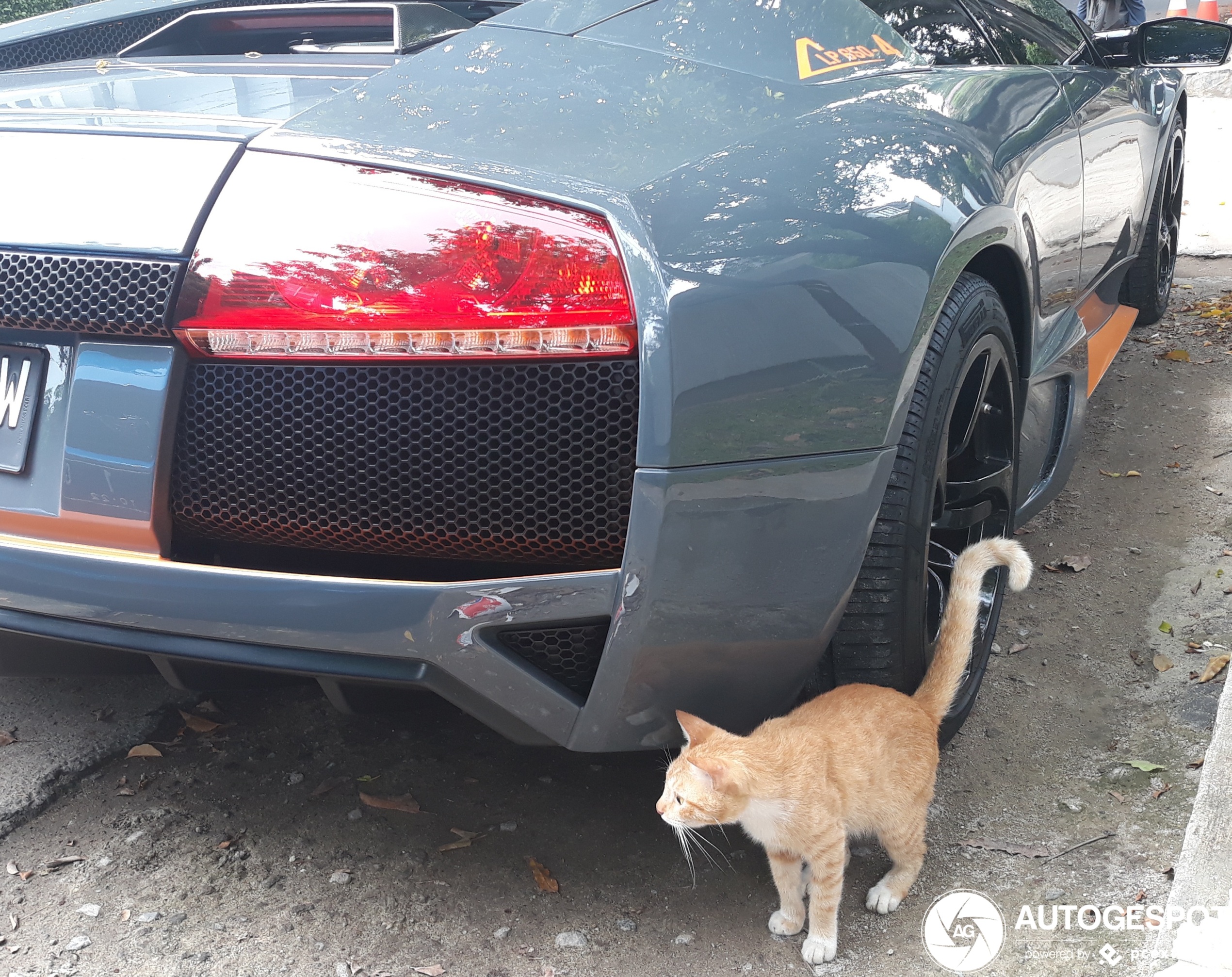 Lamborghini Murciélago LP650-4 Roadster - 16 February 2020 - Autogespot