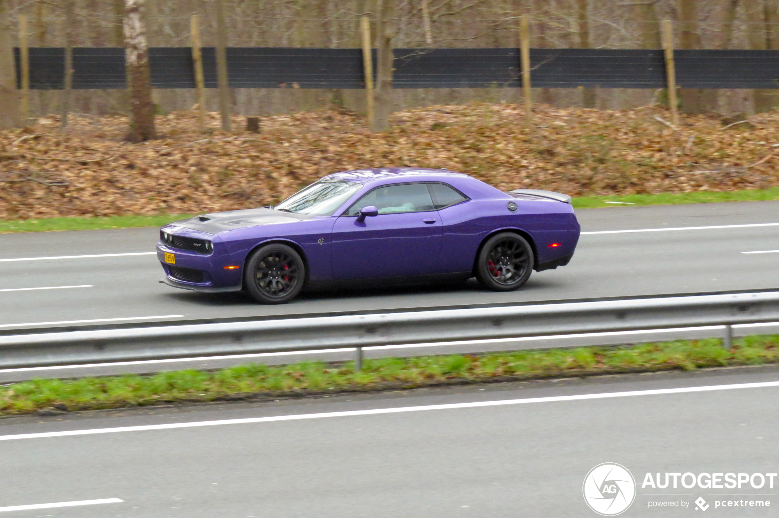 Dodge Challenger SRT Hellcat - 17 March 2021 - Autogespot