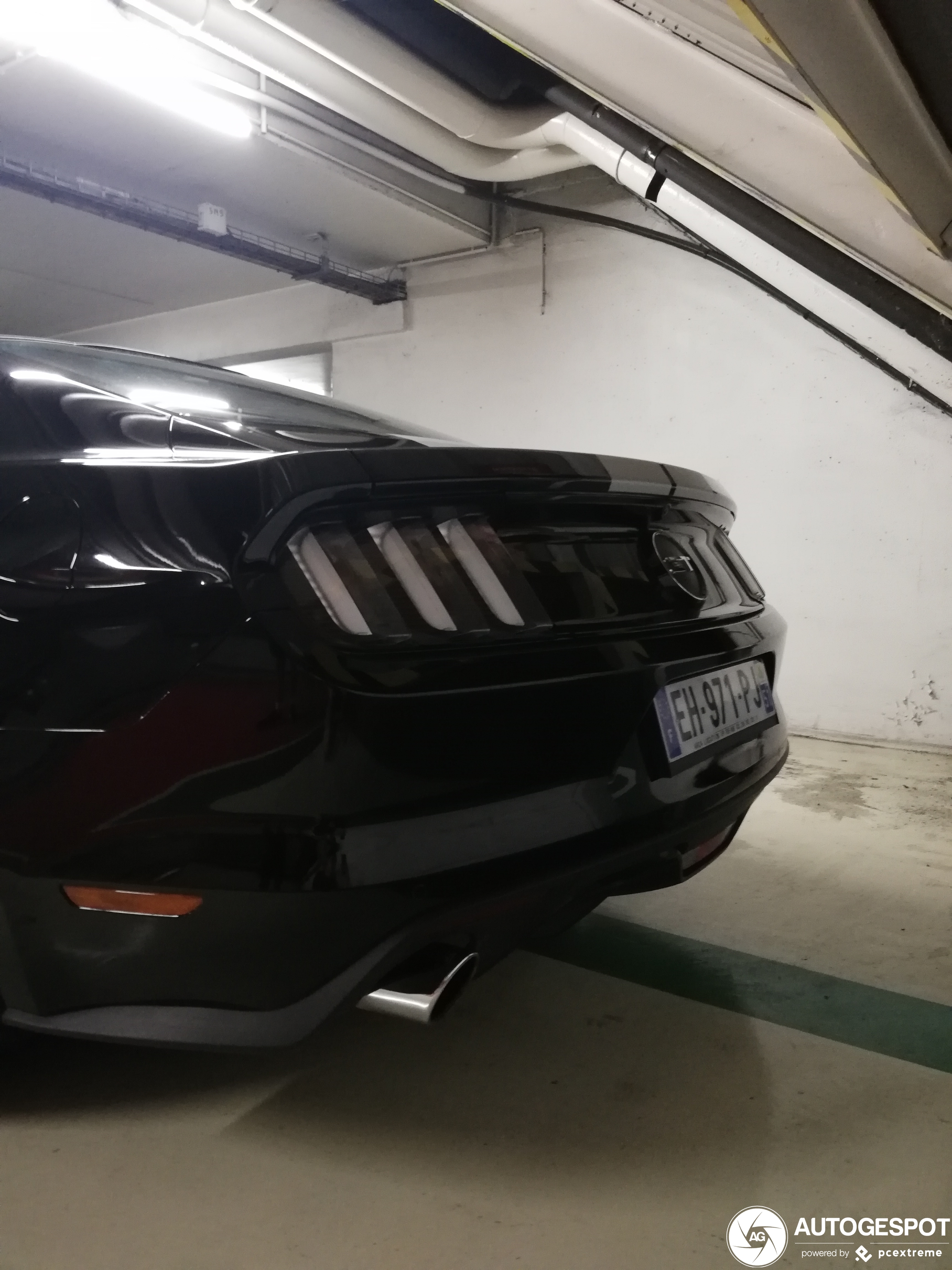 Ford Mustang GT 2015 - 31 July 2022 - Autogespot