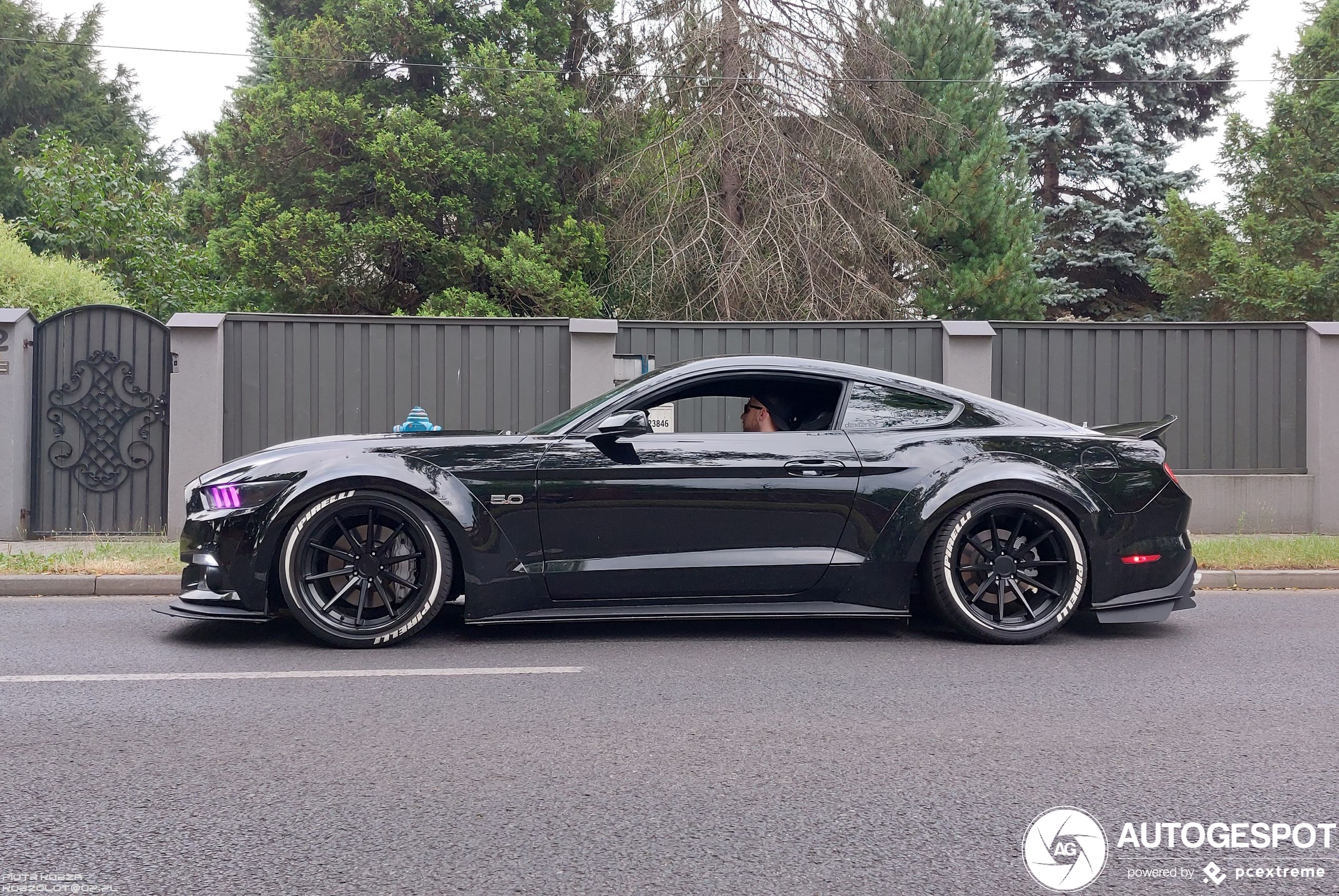 Ford Mustang GT 50th Anniversary Edition - 29 September 2022 - Autogespot