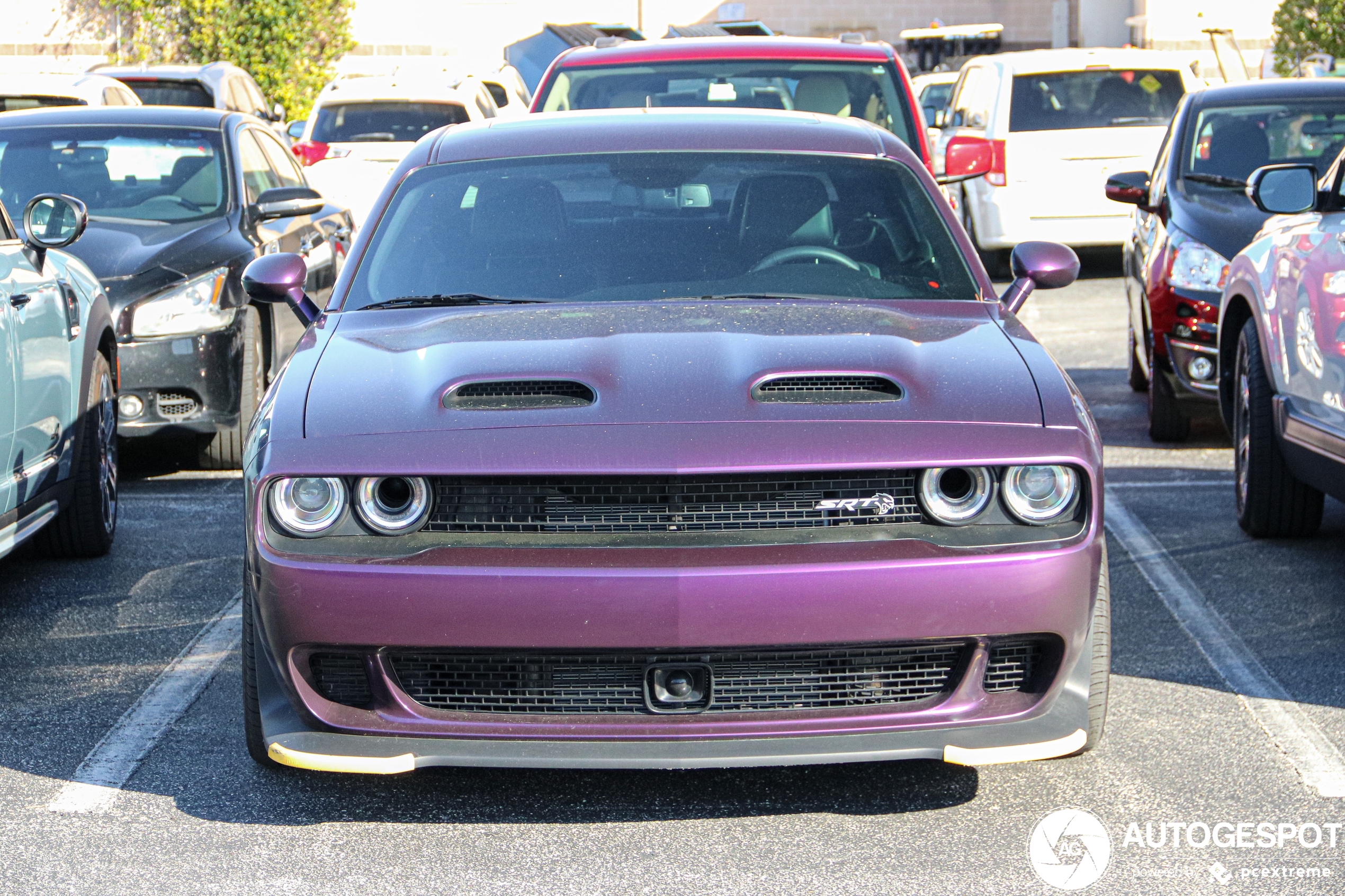 Dodge Challenger SRT Hellcat - 17 March 2023 - Autogespot