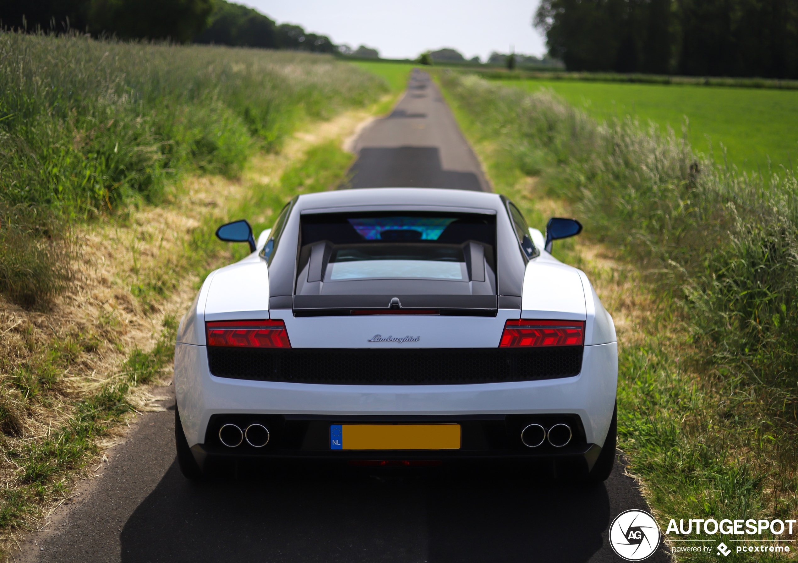 Lamborghini Gallardo LP550-2 - 02 June 2023 - Autogespot