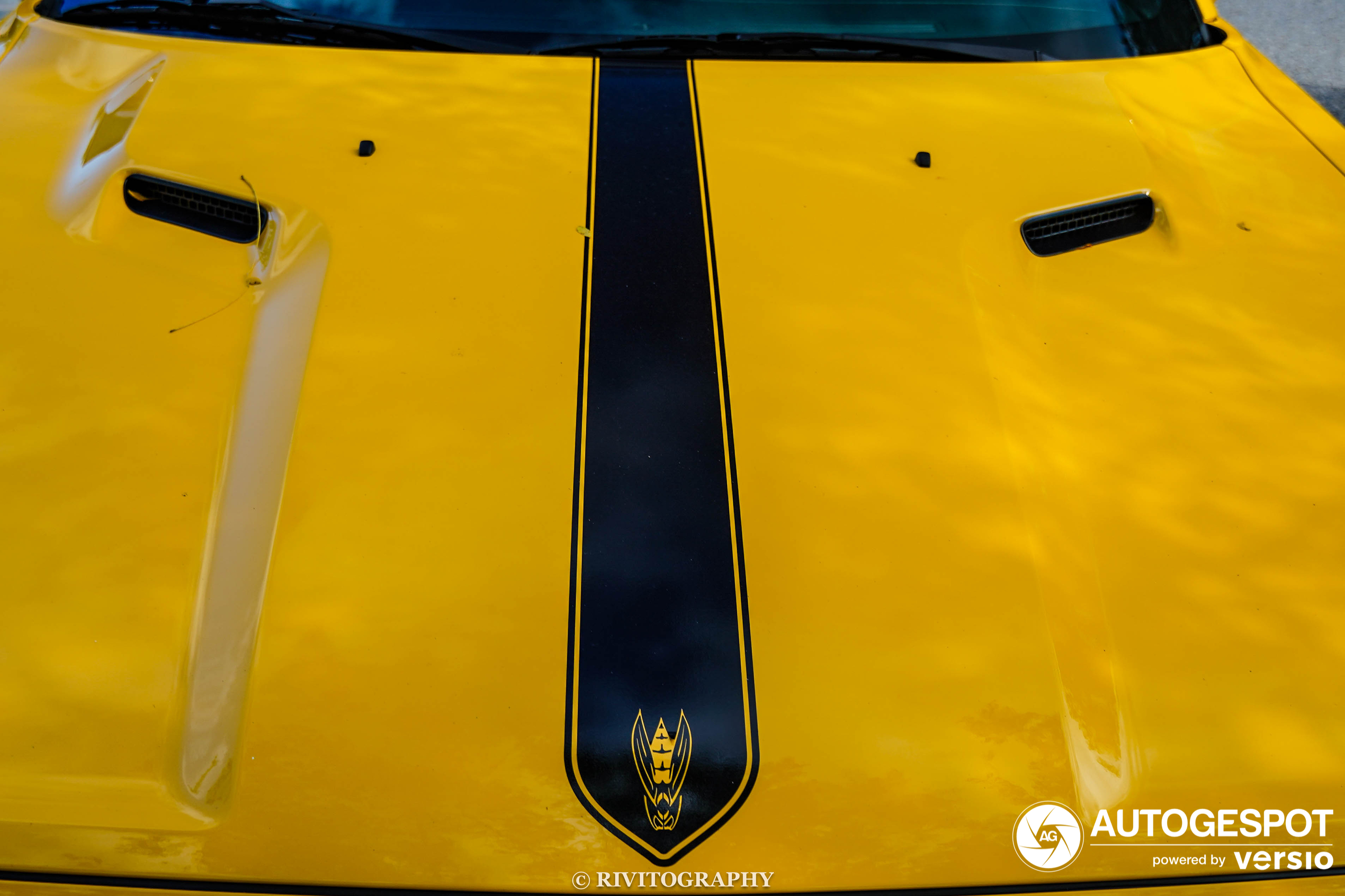 Dodge Challenger SRT-8 392 Yellow Jacket - 22 September 2023 - Autogespot