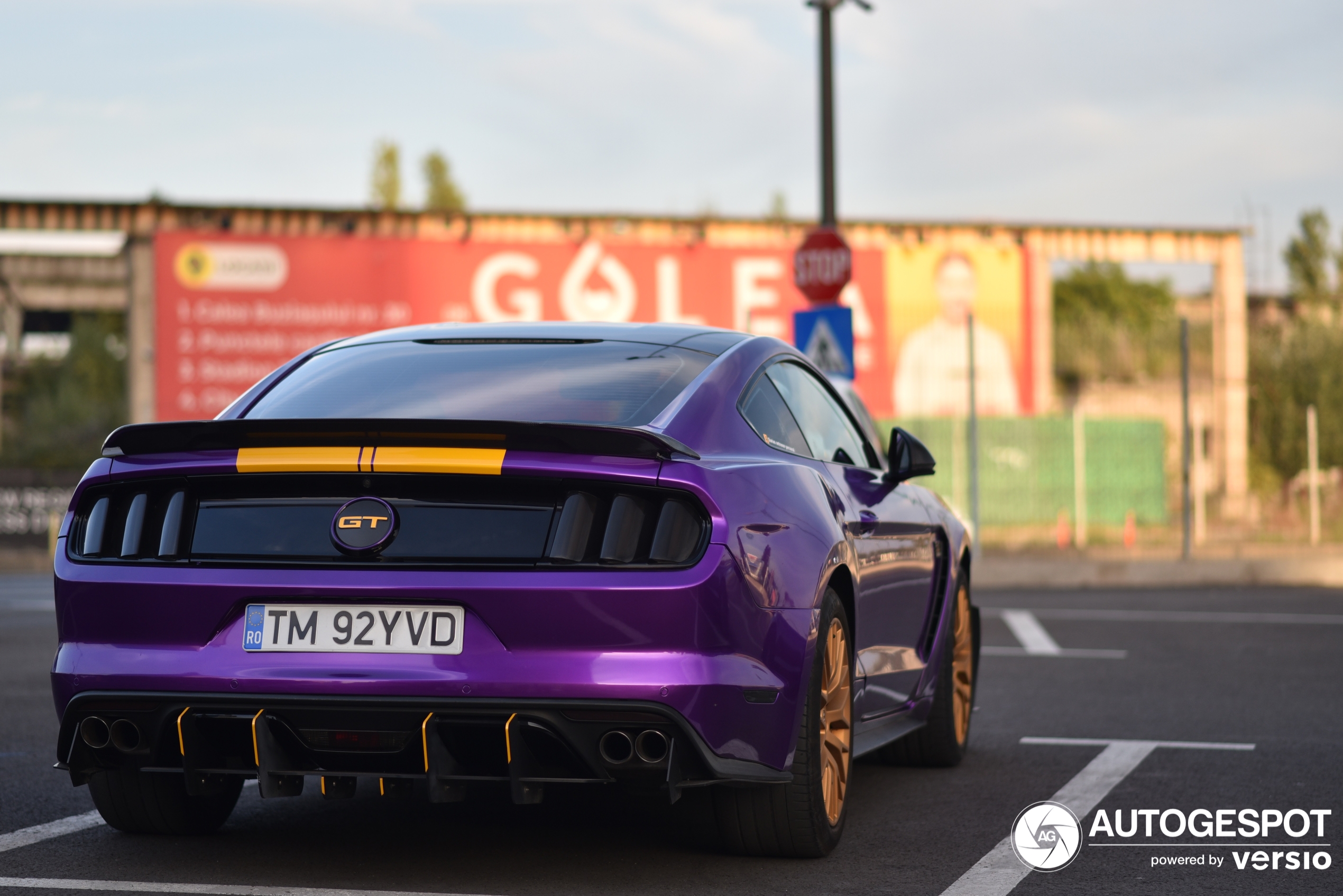 Dark Purple Mustang