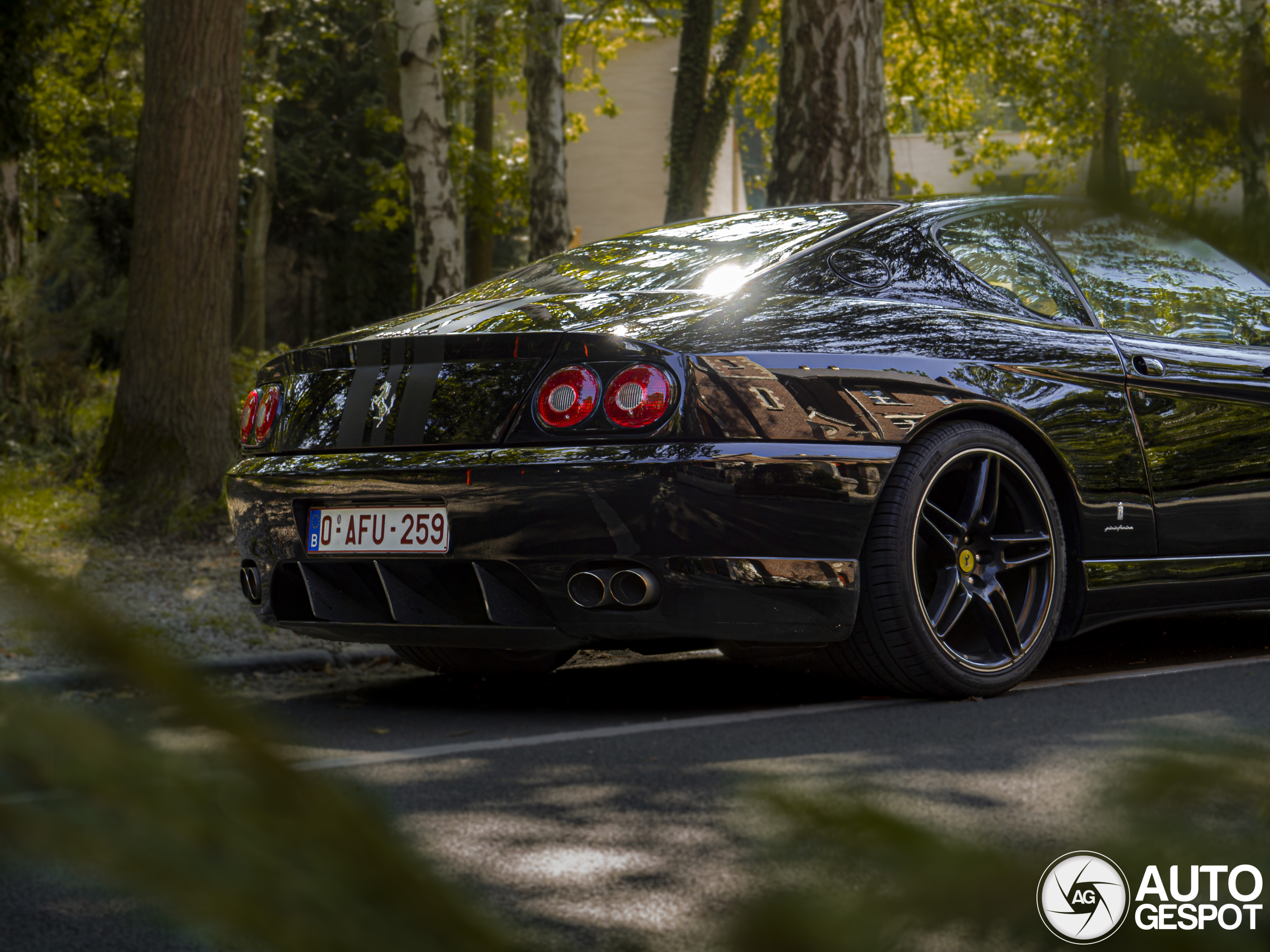 Ferrari 456 GT Novitec Rosso - 30 November 2023 - Autogespot
