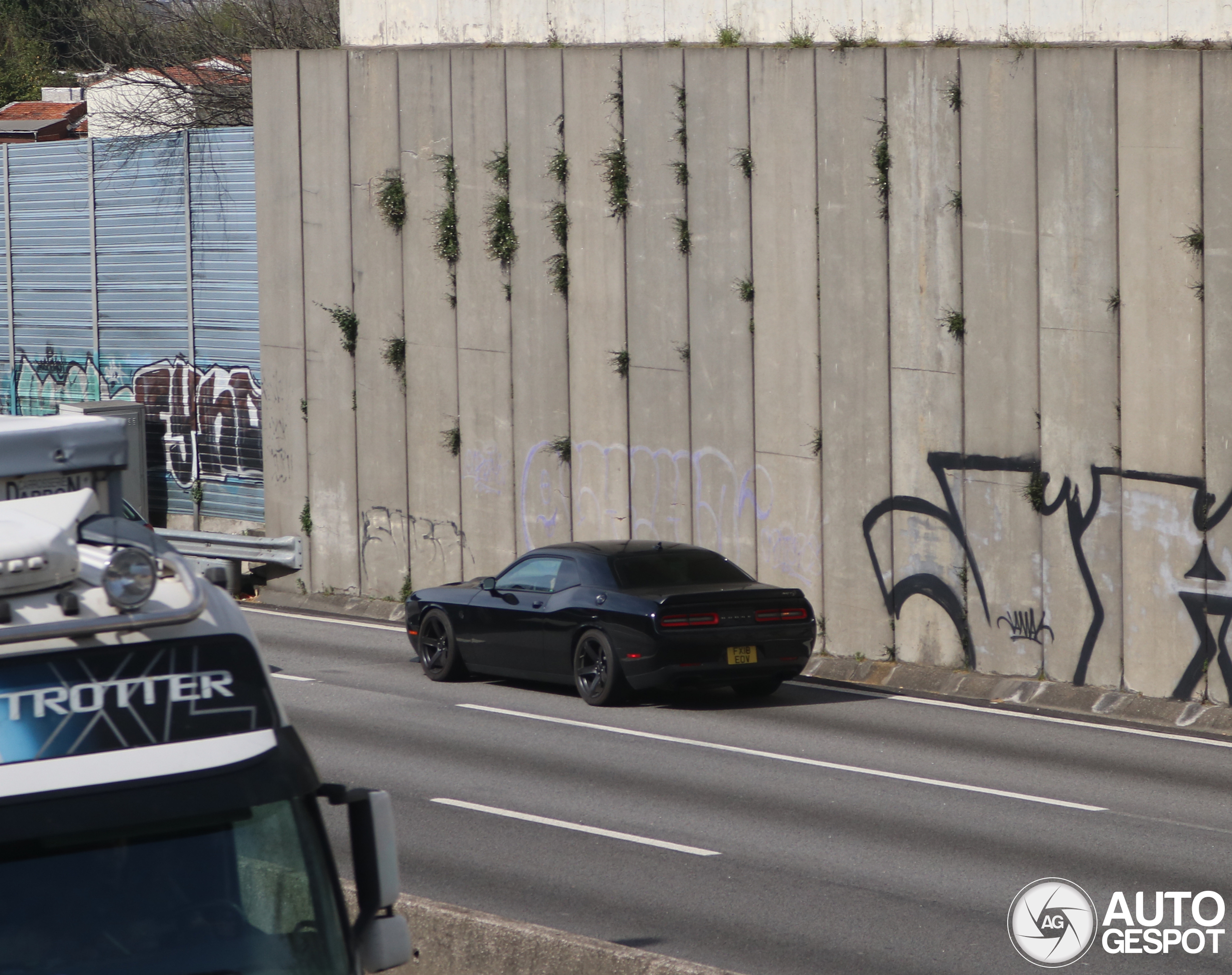Dodge Challenger SRT Hellcat - 22 March 2024 - Autogespot