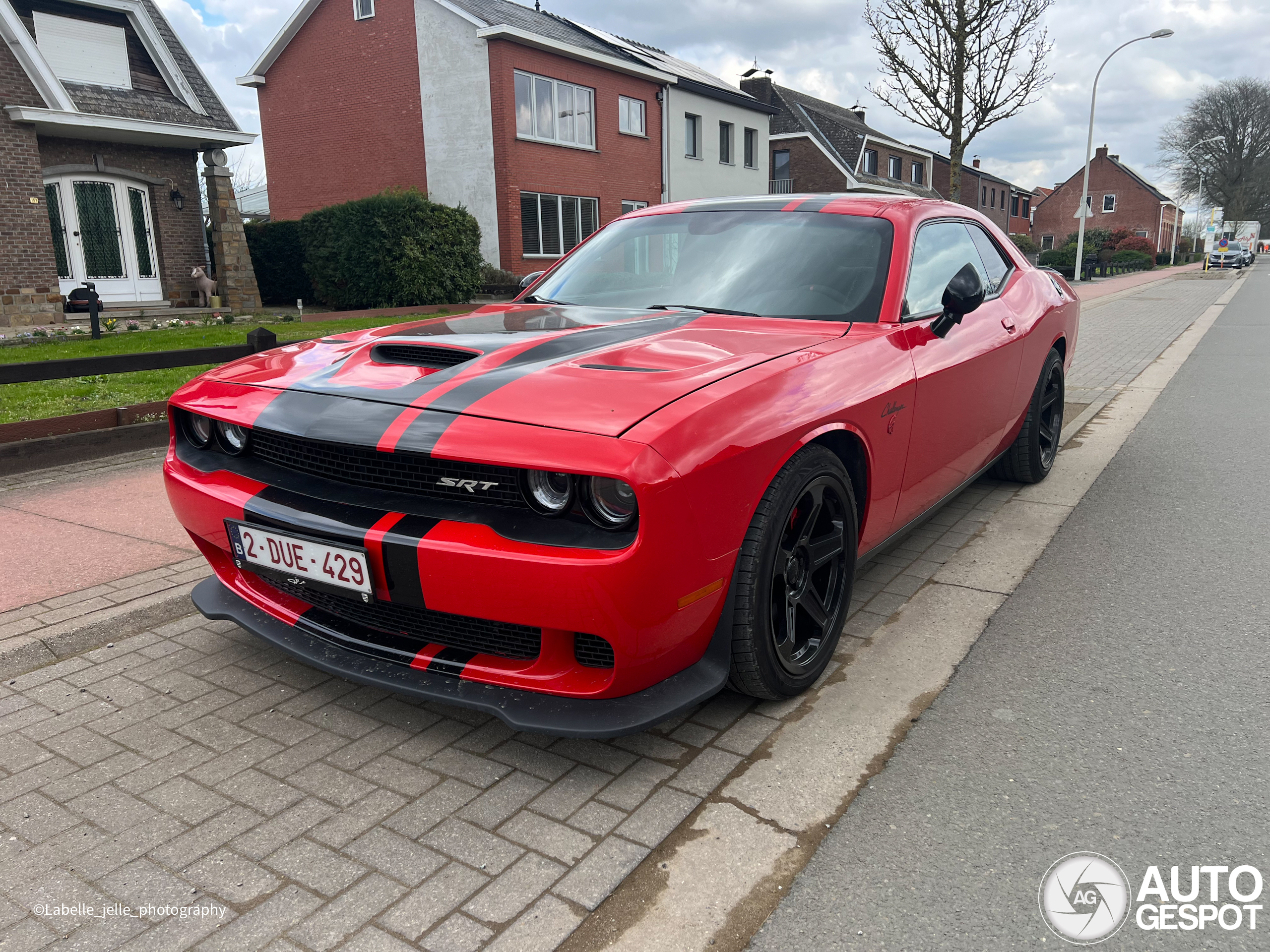 Dodge Challenger SRT Hellcat - 25 March 2024 - Autogespot