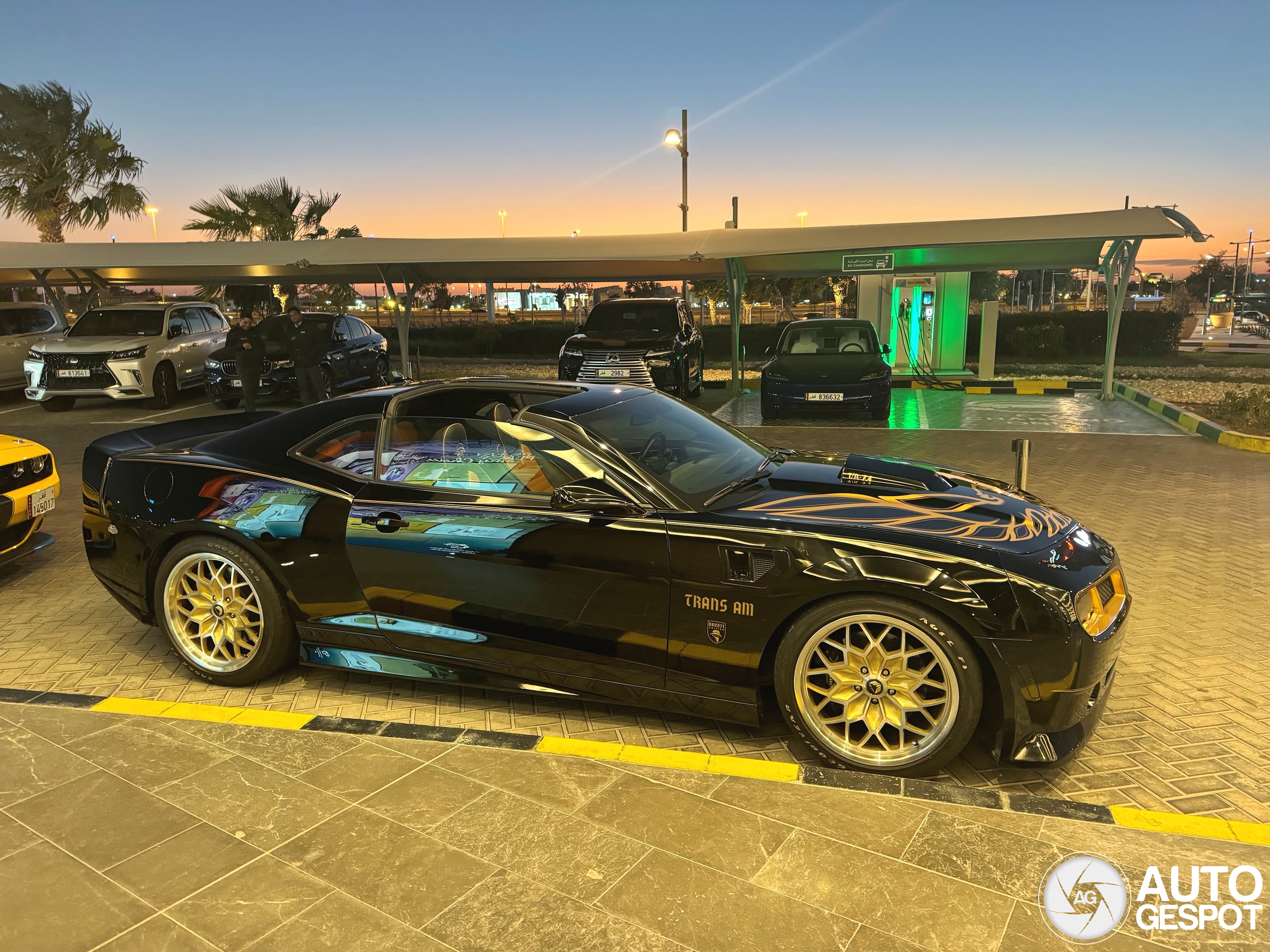 Trans Am Depot Trans Am SE Bandit Edition - 15 July 2024 - Autogespot