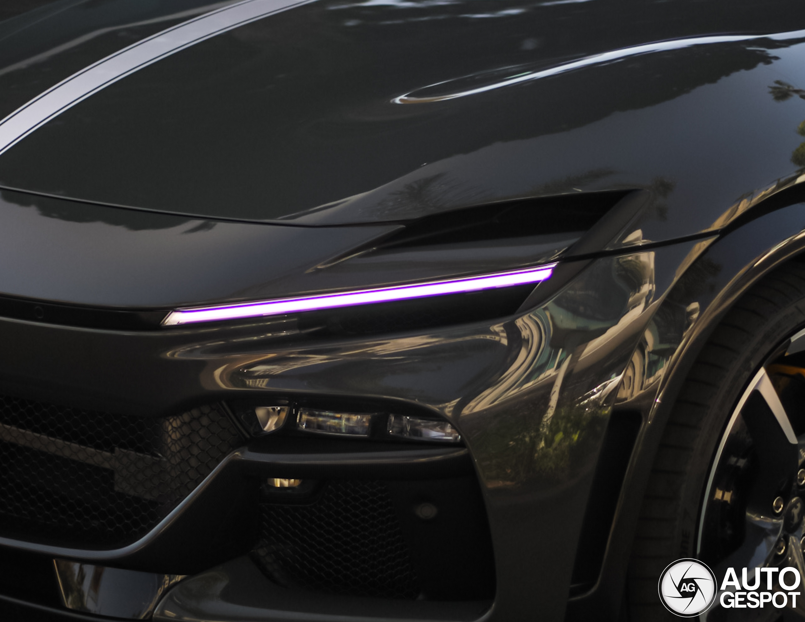 Ferrari Purosangue - 05 August 2024 - Autogespot