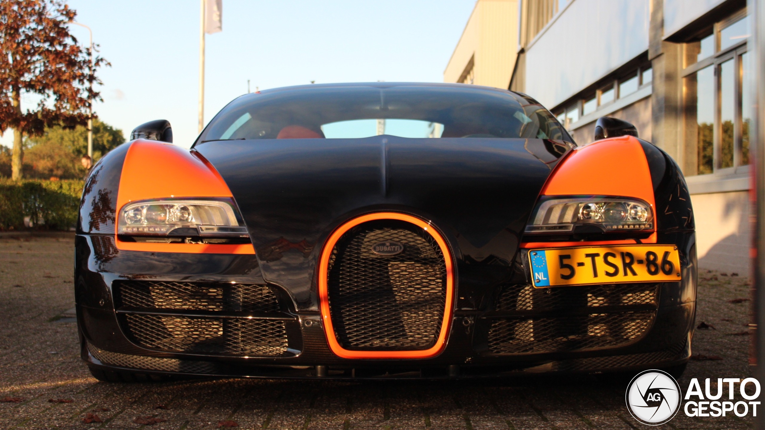 Bugatti Veyron 16.4 Grand Sport Vitesse World Record Car Edition - 04 ...