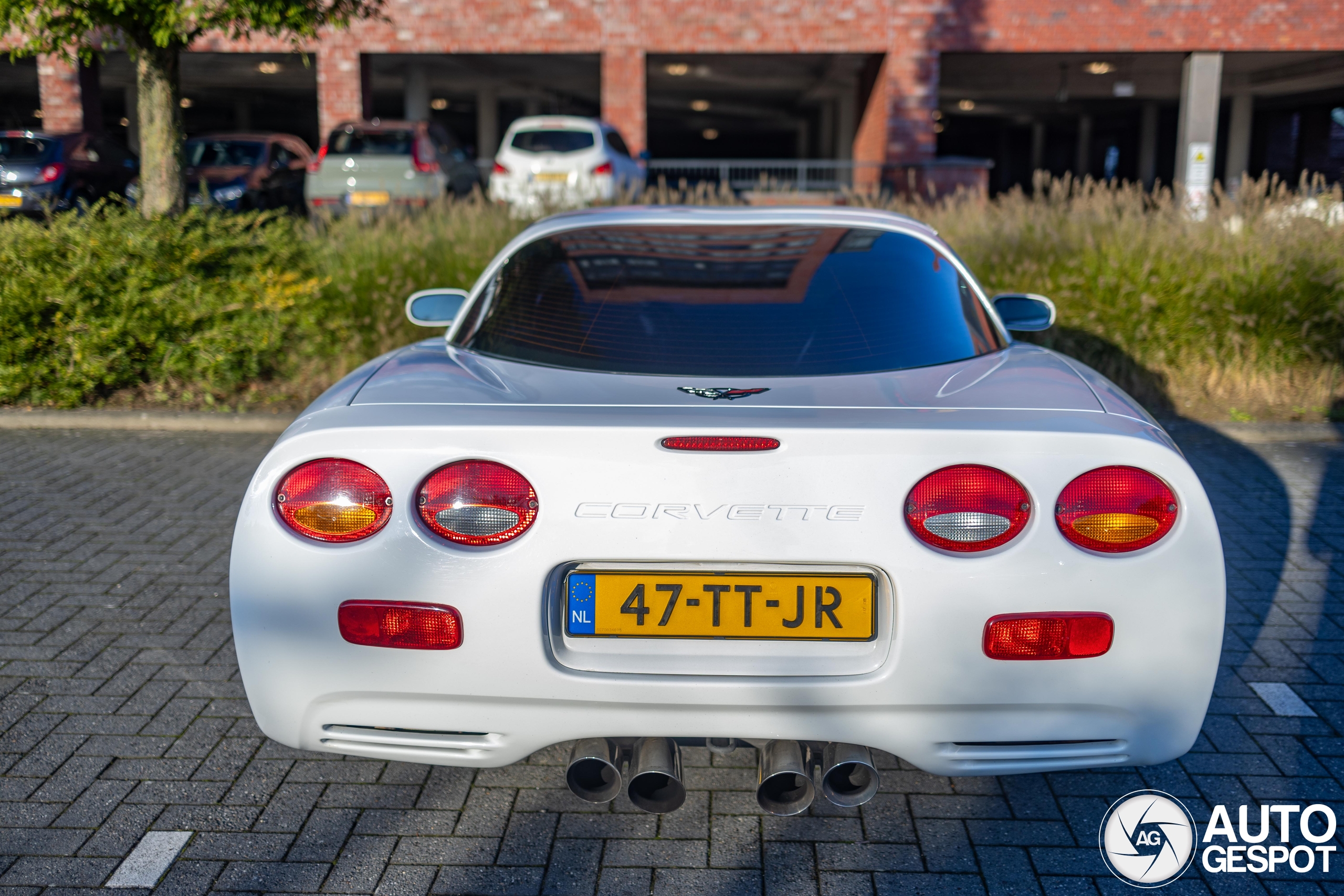 Chevrolet Corvette C5 - 08 October 2024 - Autogespot
