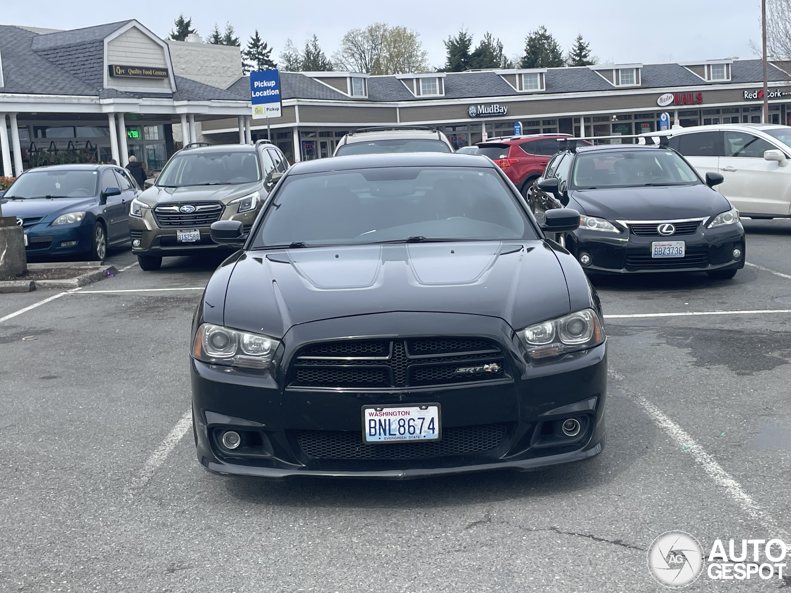 Dodge Charger SRT-8 Super Bee 2012 - 25 November 2024 - Autogespot