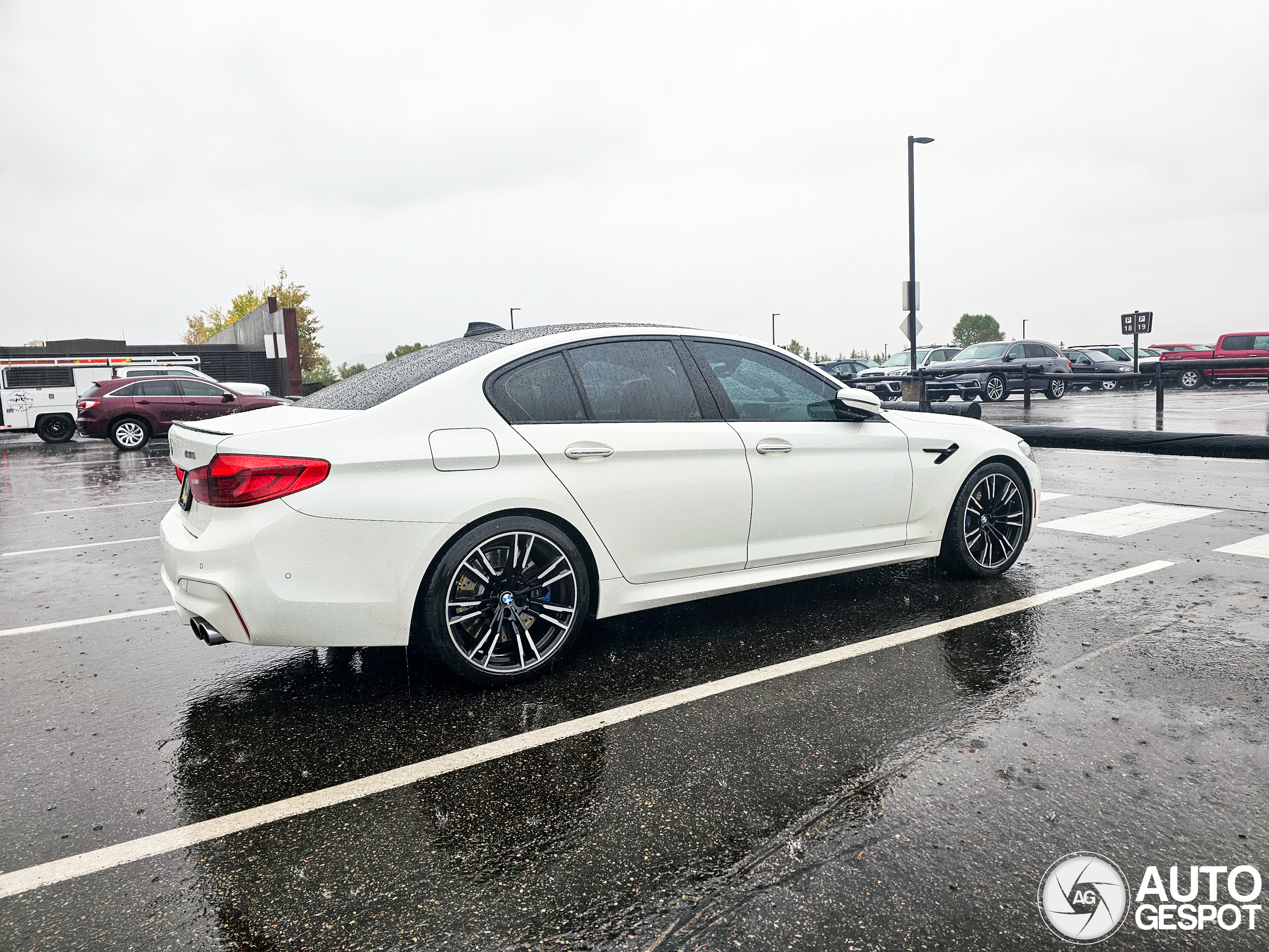 BMW M5 F90 - 04 January 2025 - Autogespot