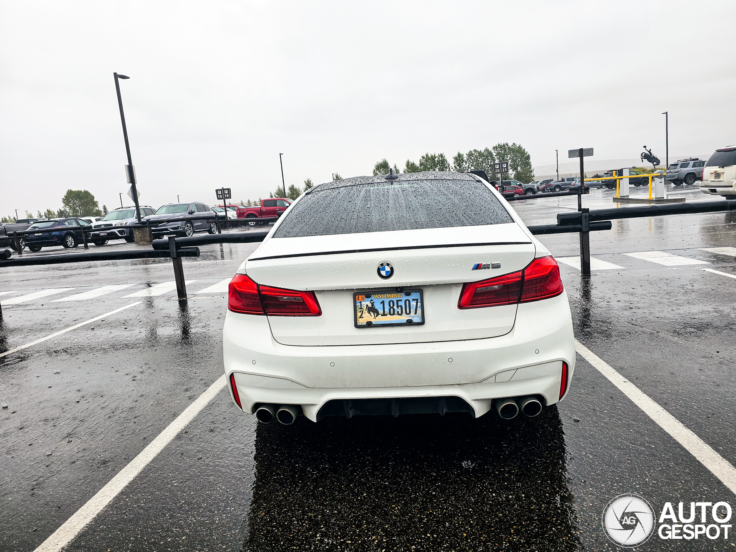 BMW M5 F90 - 04 January 2025 - Autogespot