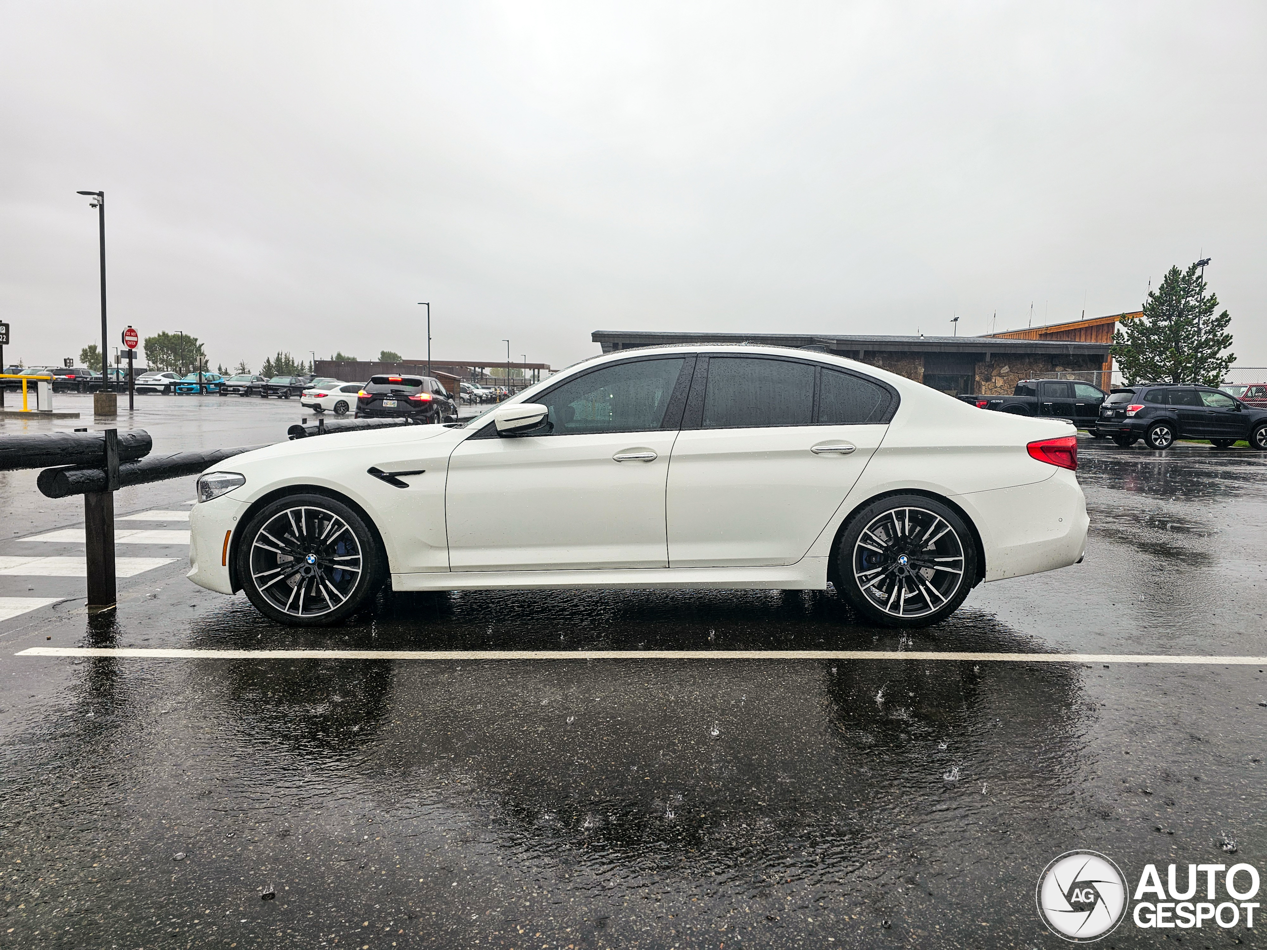 BMW M5 F90 - 04 January 2025 - Autogespot