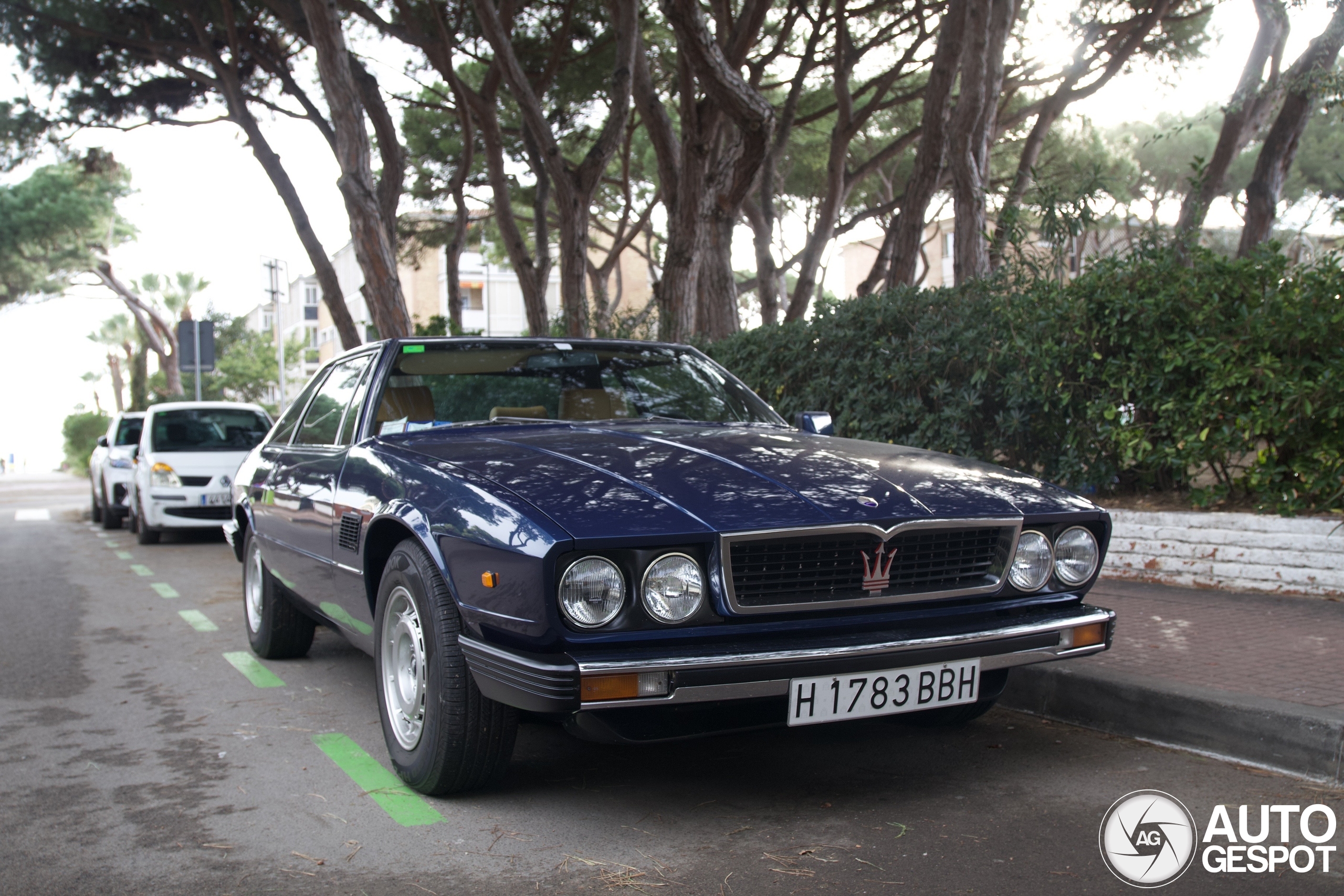 Maserati Kyalami - 19 January 2025 - Autogespot