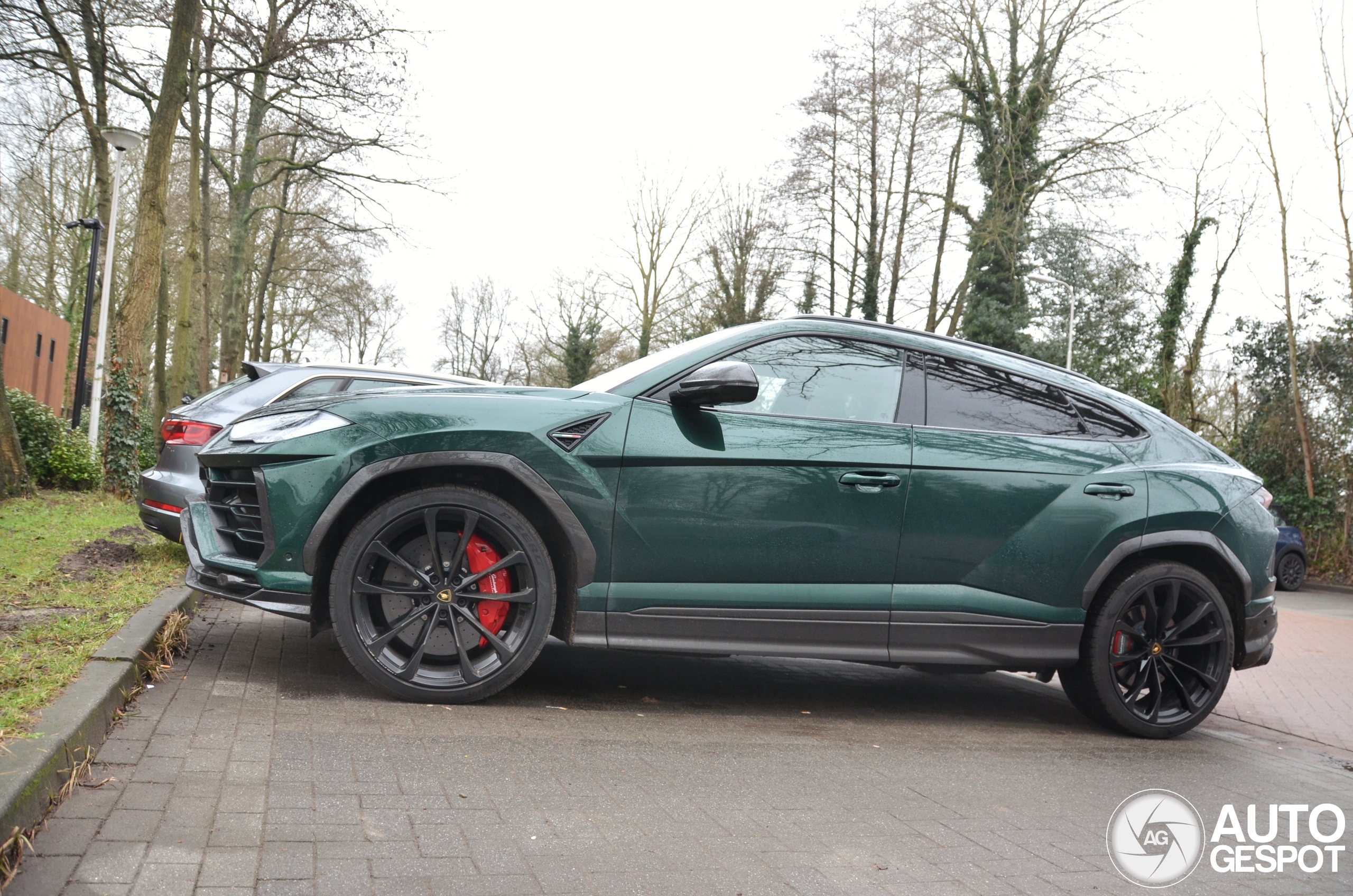 Lamborghini Urus - 25 January 2025 - Autogespot