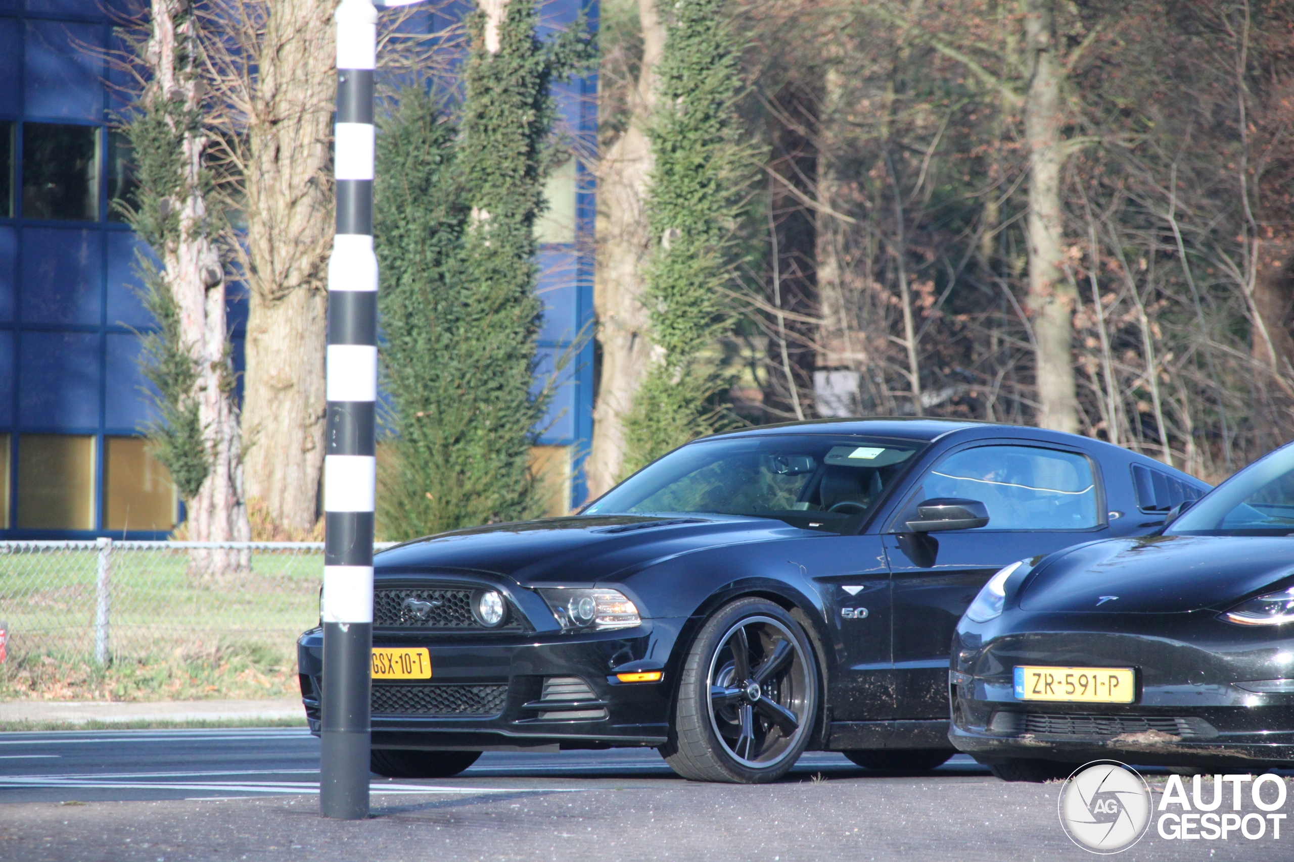 Ford Mustang GT 2013 - 04 February 2025 - Autogespot