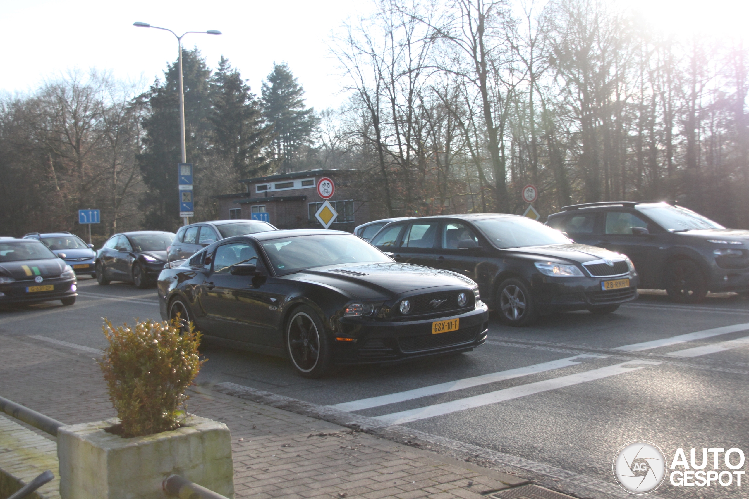 Ford Mustang GT 2013 - 04 February 2025 - Autogespot