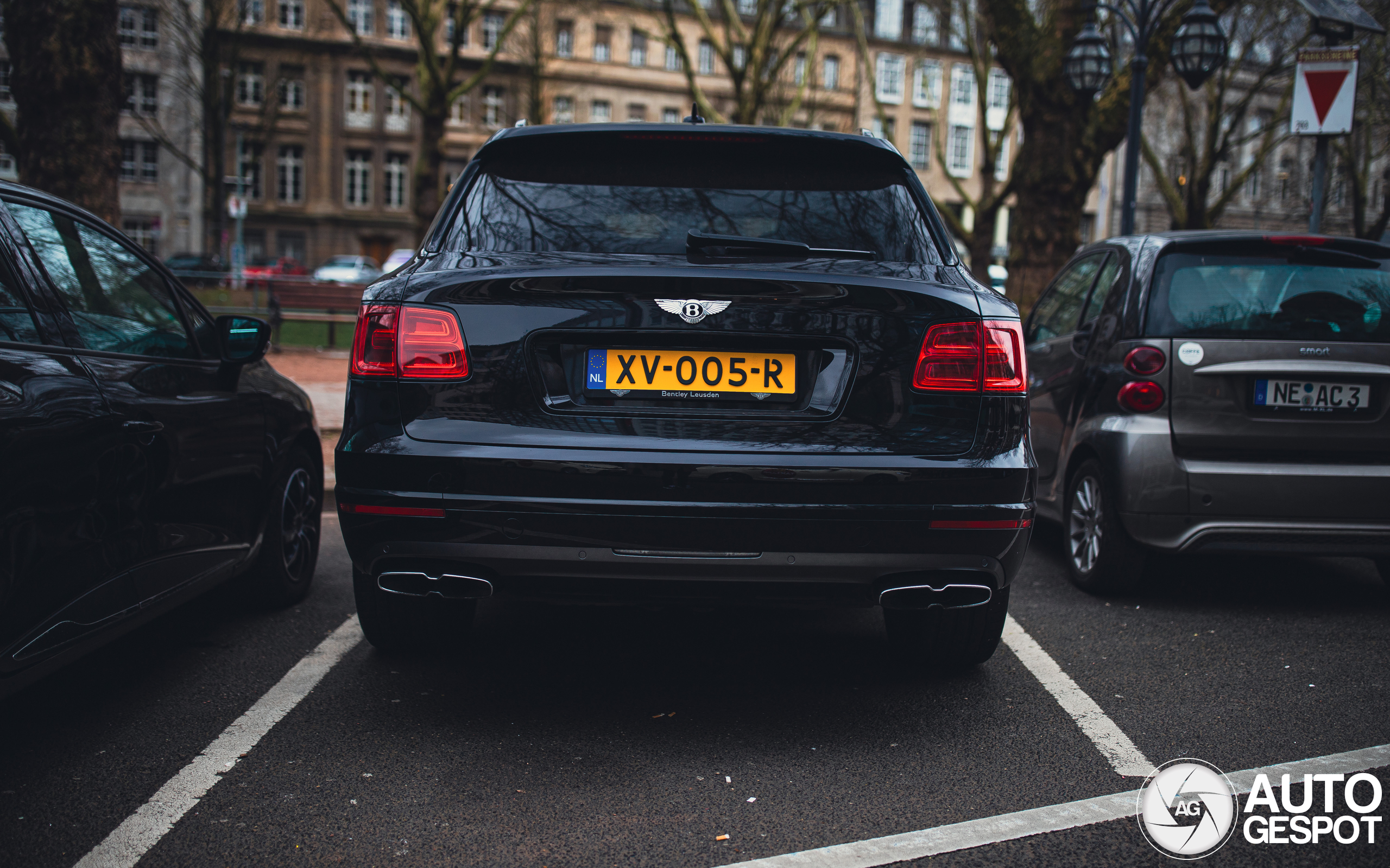 Bentley Bentayga V8 - 12 March 2025 - Autogespot