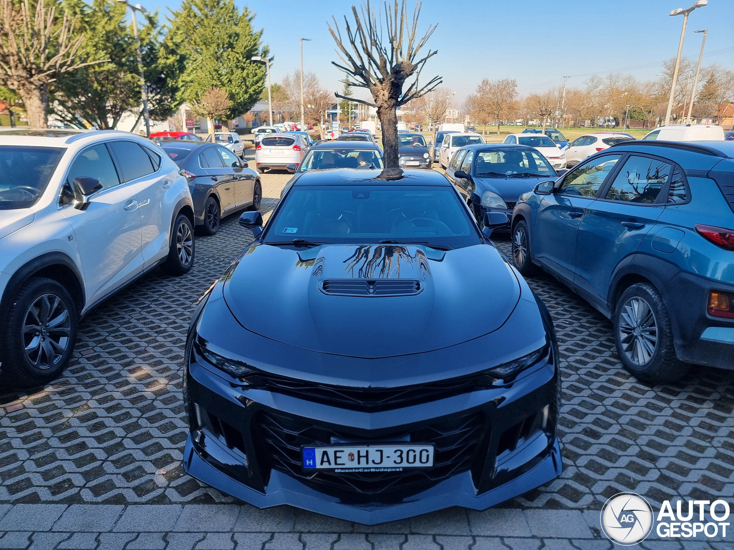 Chevrolet Camaro SS 2020 - 20 March 2025 - Autogespot