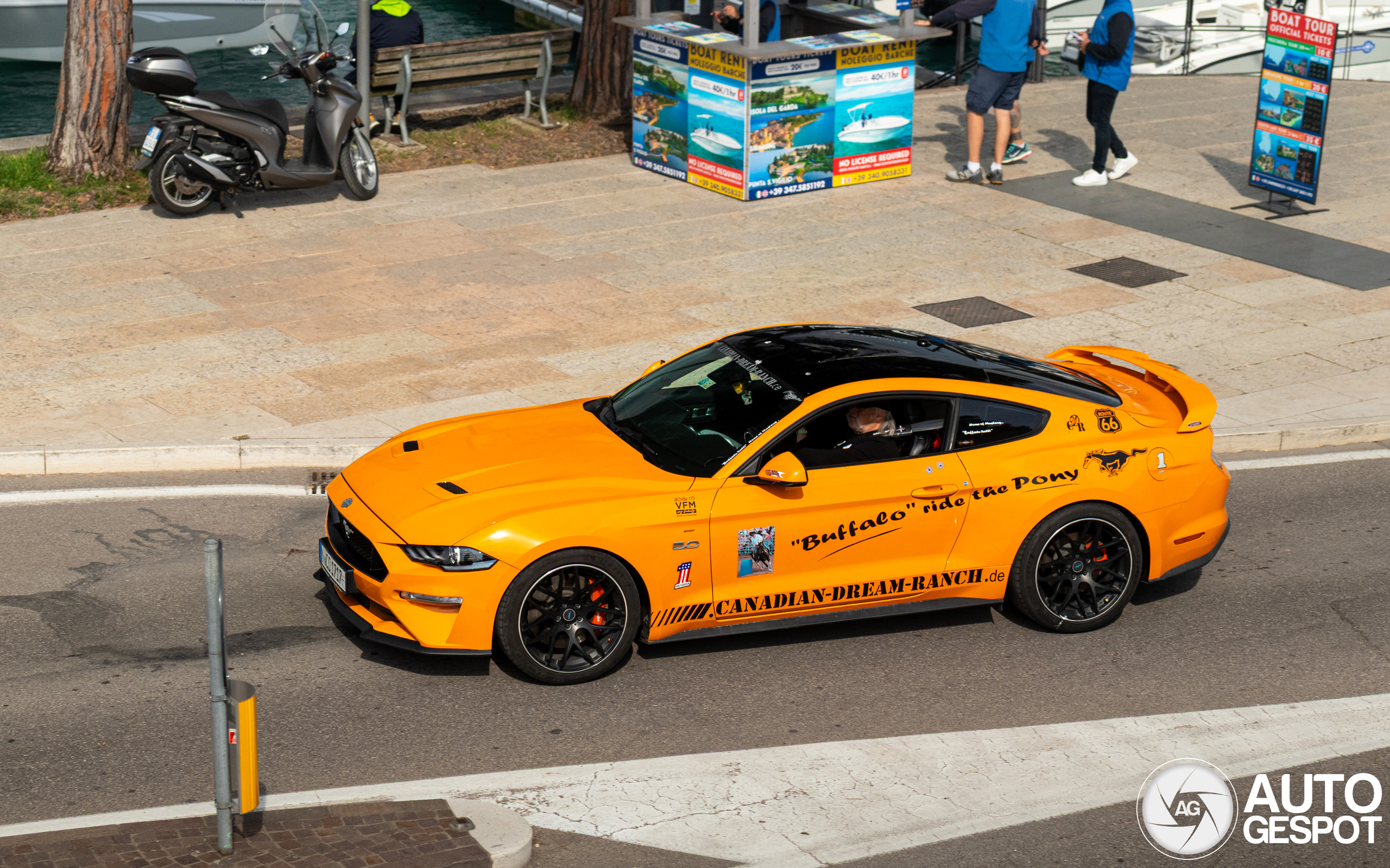 Ford Mustang GT 2018 - 06 June 2025 - Autogespot
