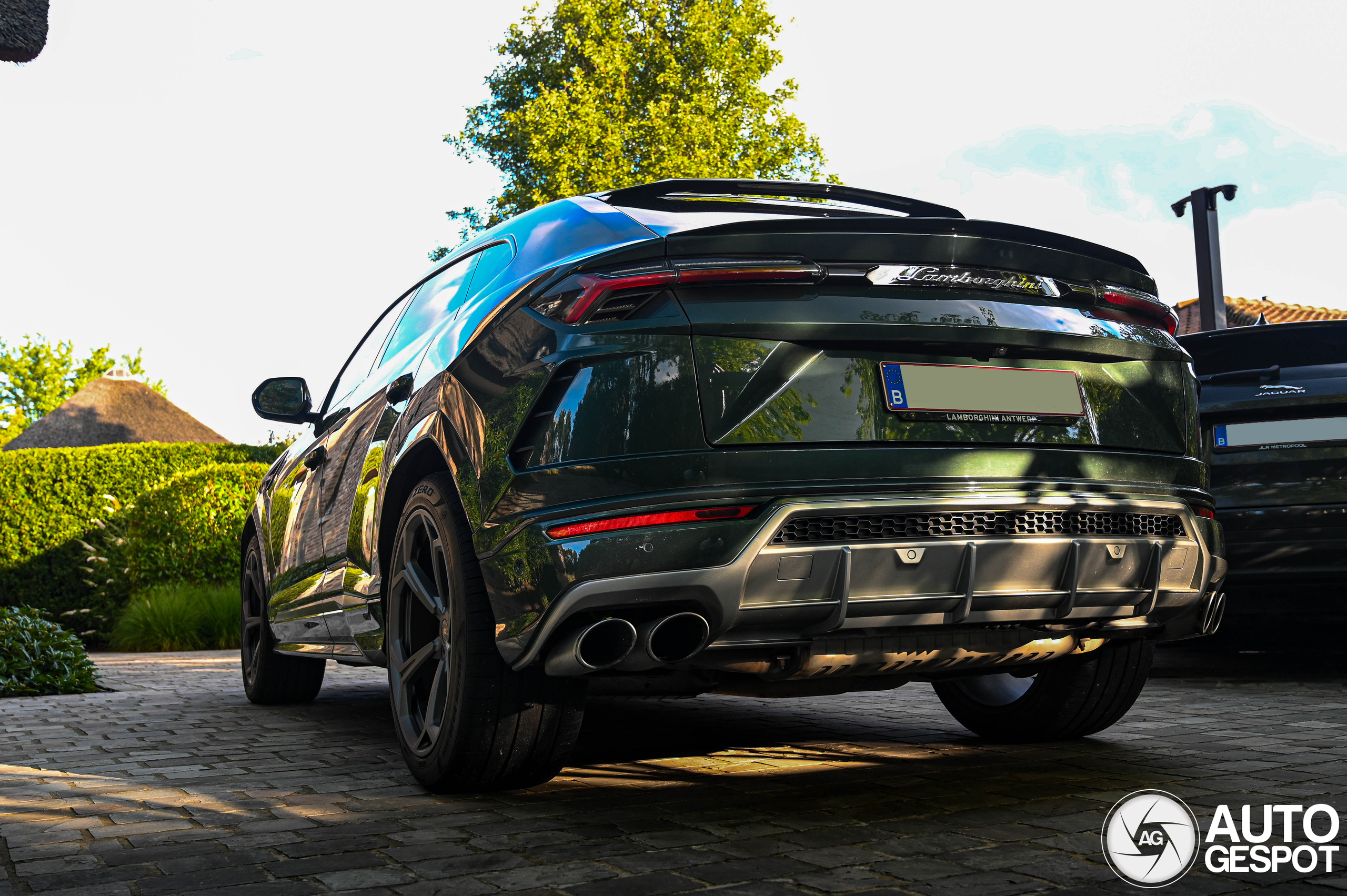 Lamborghini Urus - 25 August 2025 - Autogespot