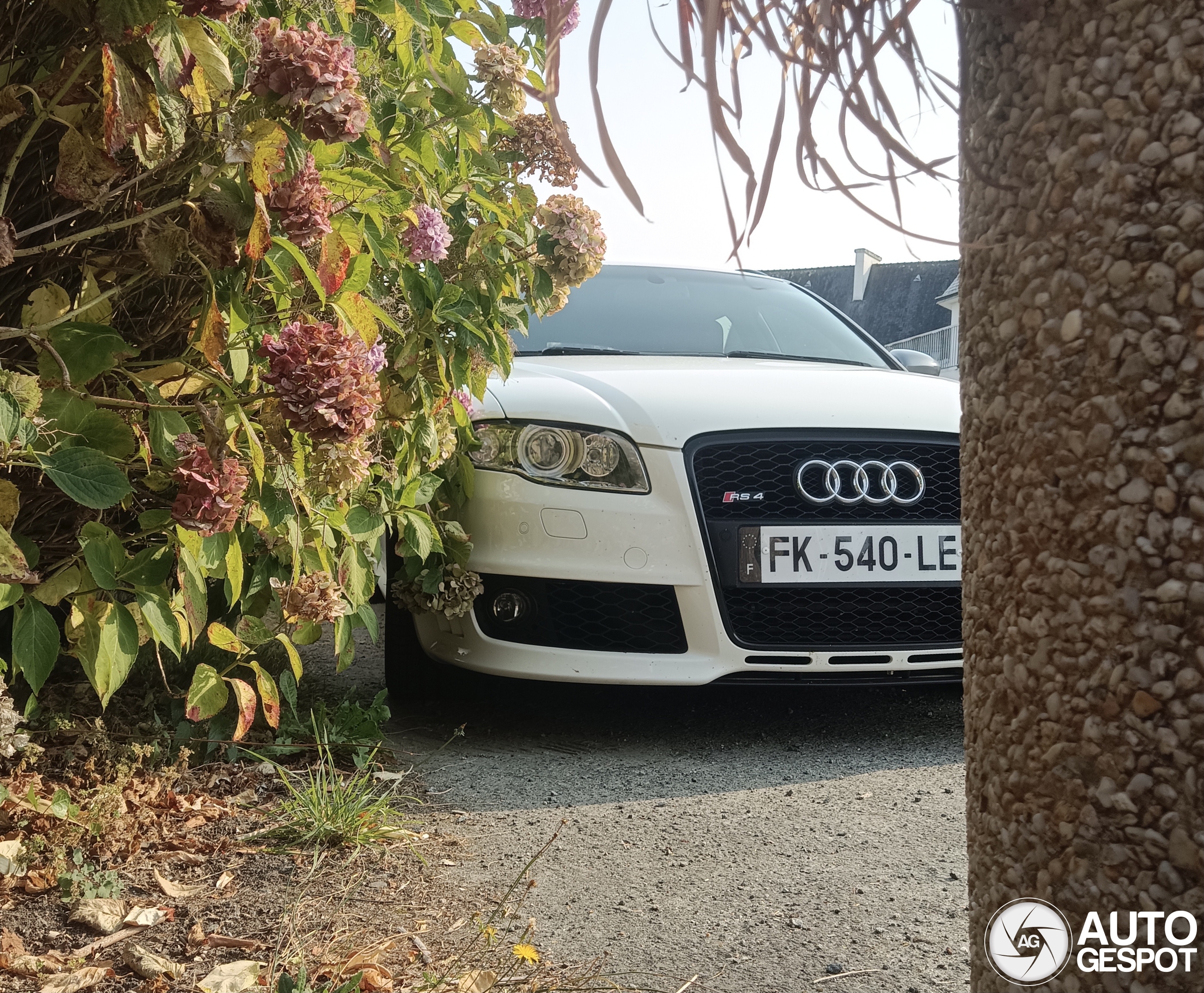Audi RS4 Avant B7 - 31 August 2025 - Autogespot