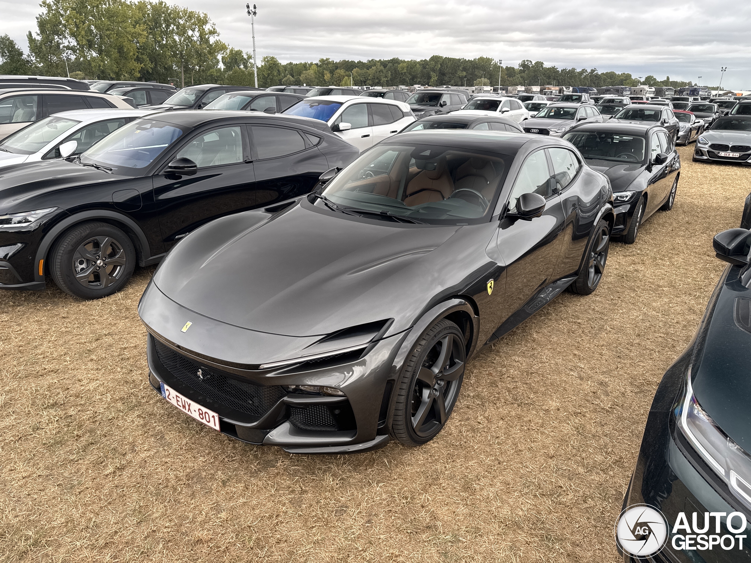 Ferrari Purosangue - 31 August 2025 - Autogespot