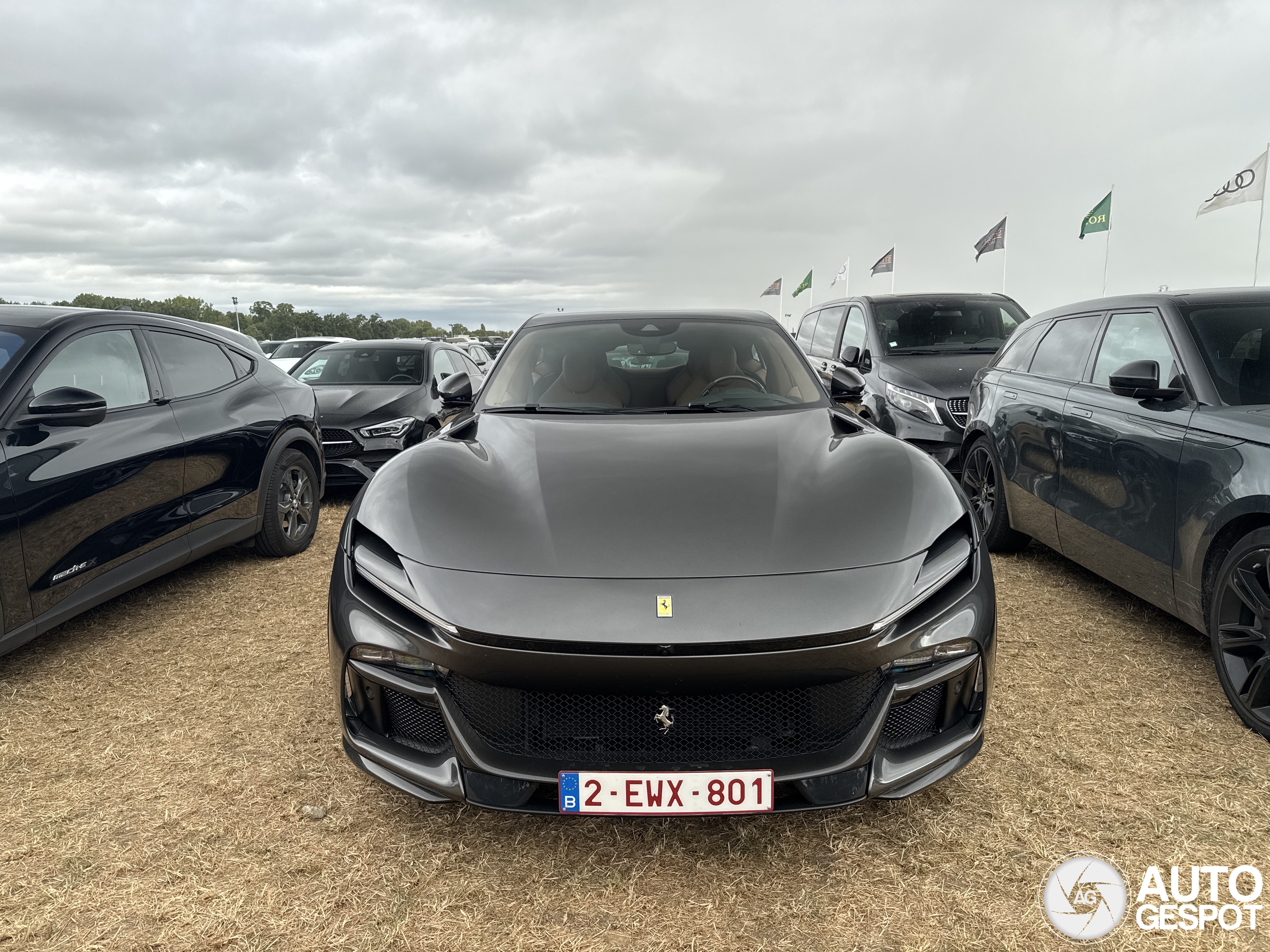 Ferrari Purosangue - 31 August 2025 - Autogespot