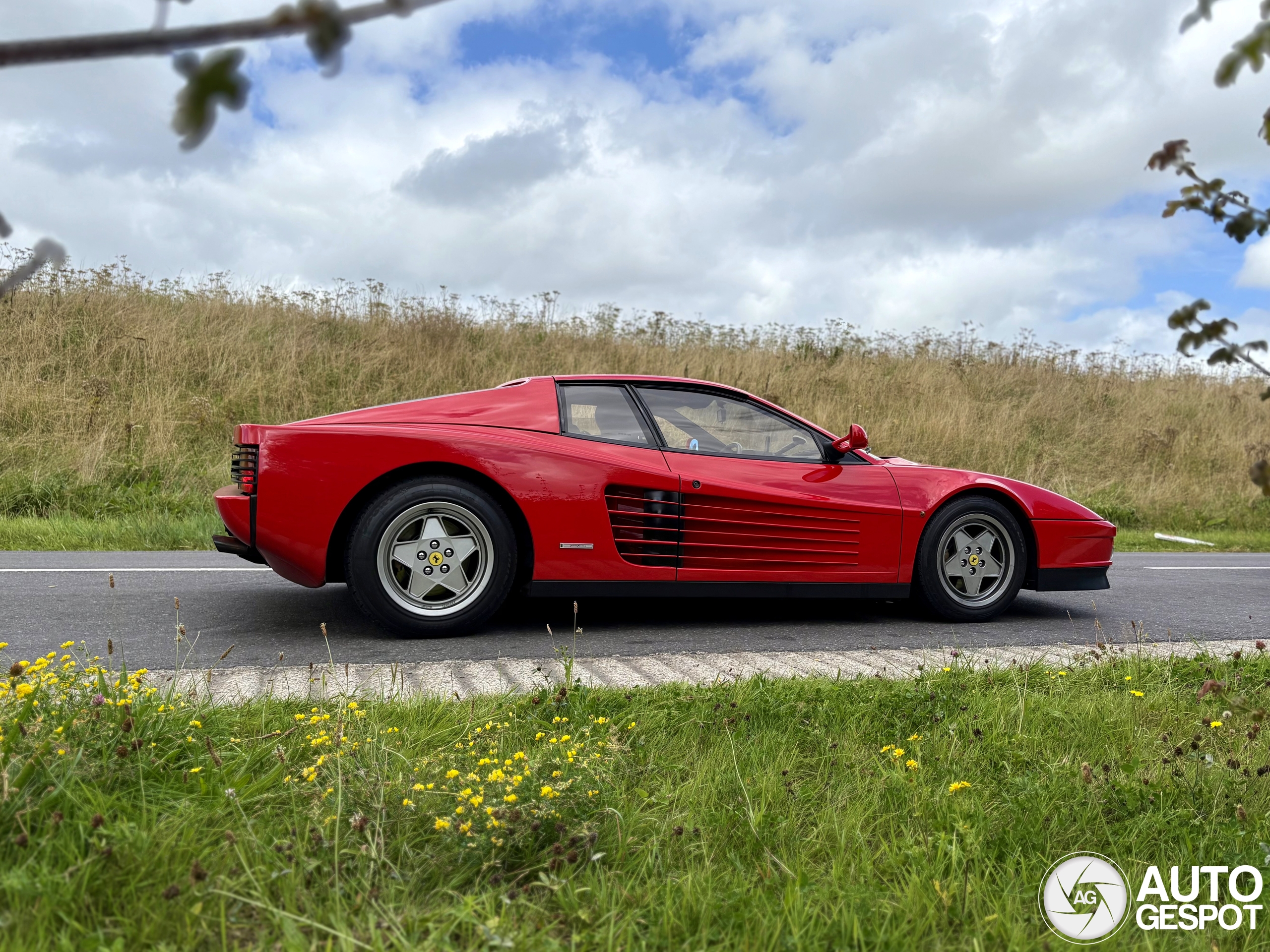 Ferrari Testarossa - 02 September 2025 - Autogespot