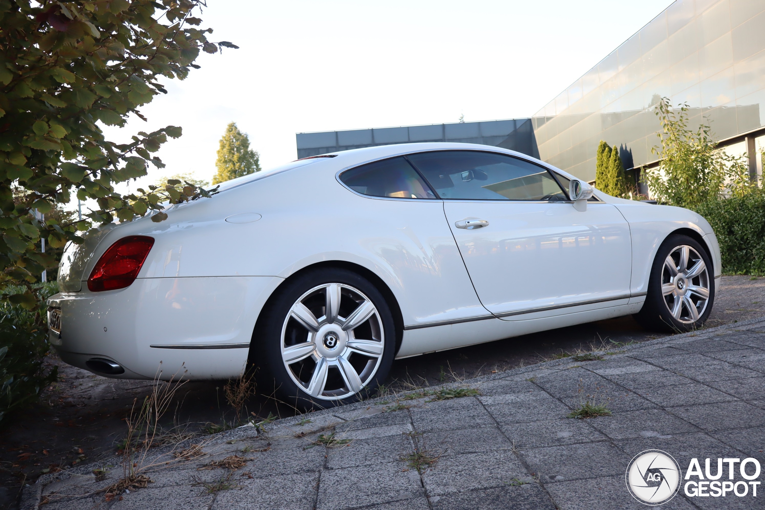 Bentley Continental GT - 06 September 2025 - Autogespot